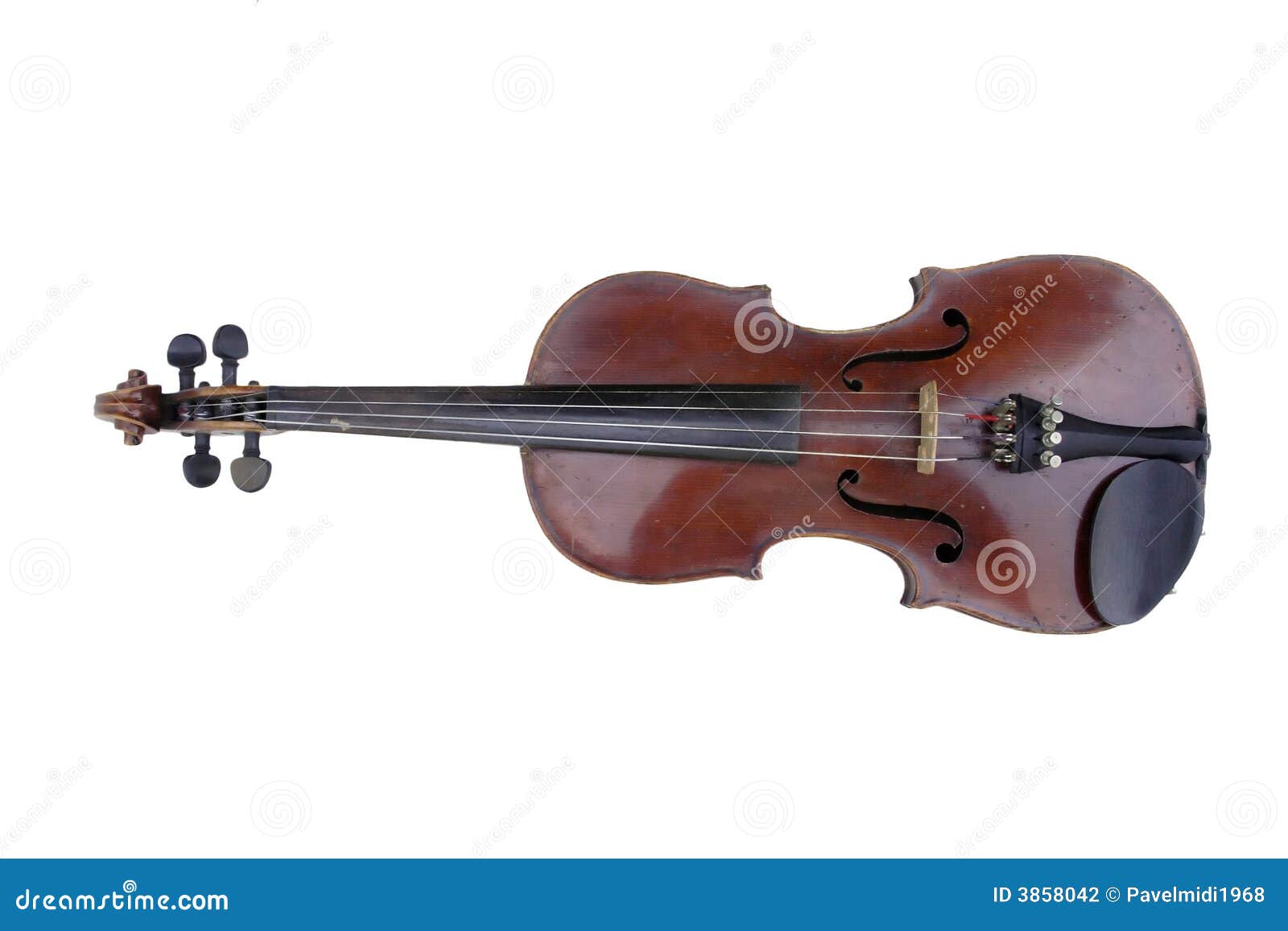 Fiol arkivfoto. Bild av fiol, operett, speciell, kamera - 3858042