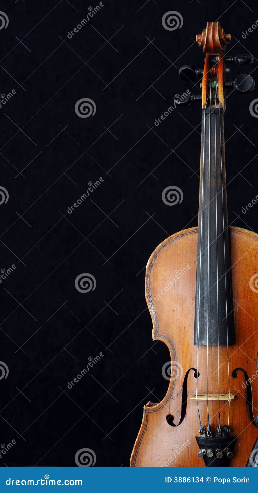 Fiol arkivfoto. Bild av fifflare, fingrar, musik, orkester - 3886134