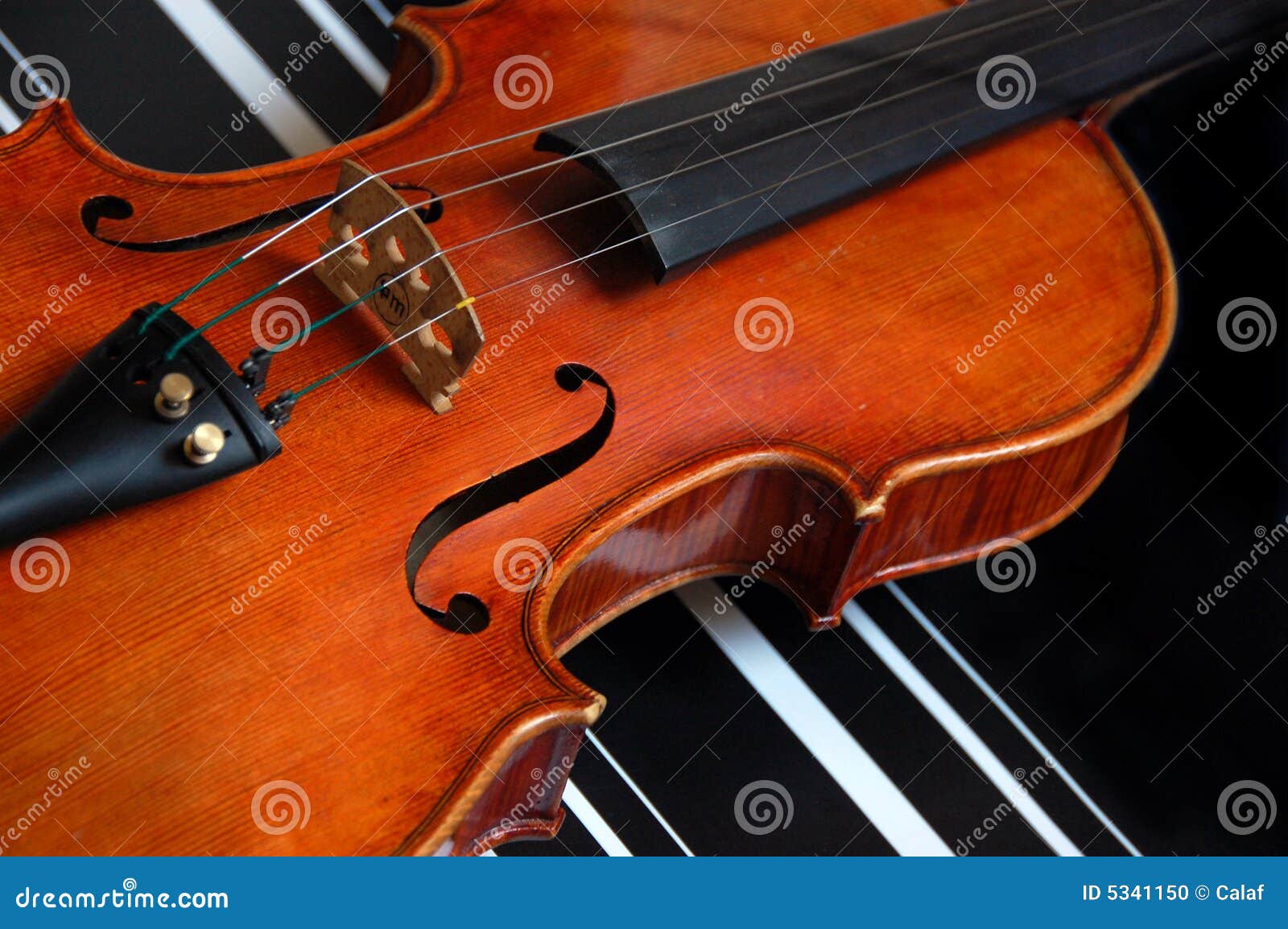 Fiol arkivfoto. Bild av konsert, vitt, stänga, svart, instrument - 5341150