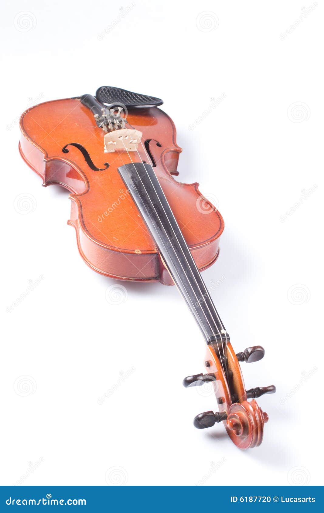 Fiol Bild. Bild: 6187720