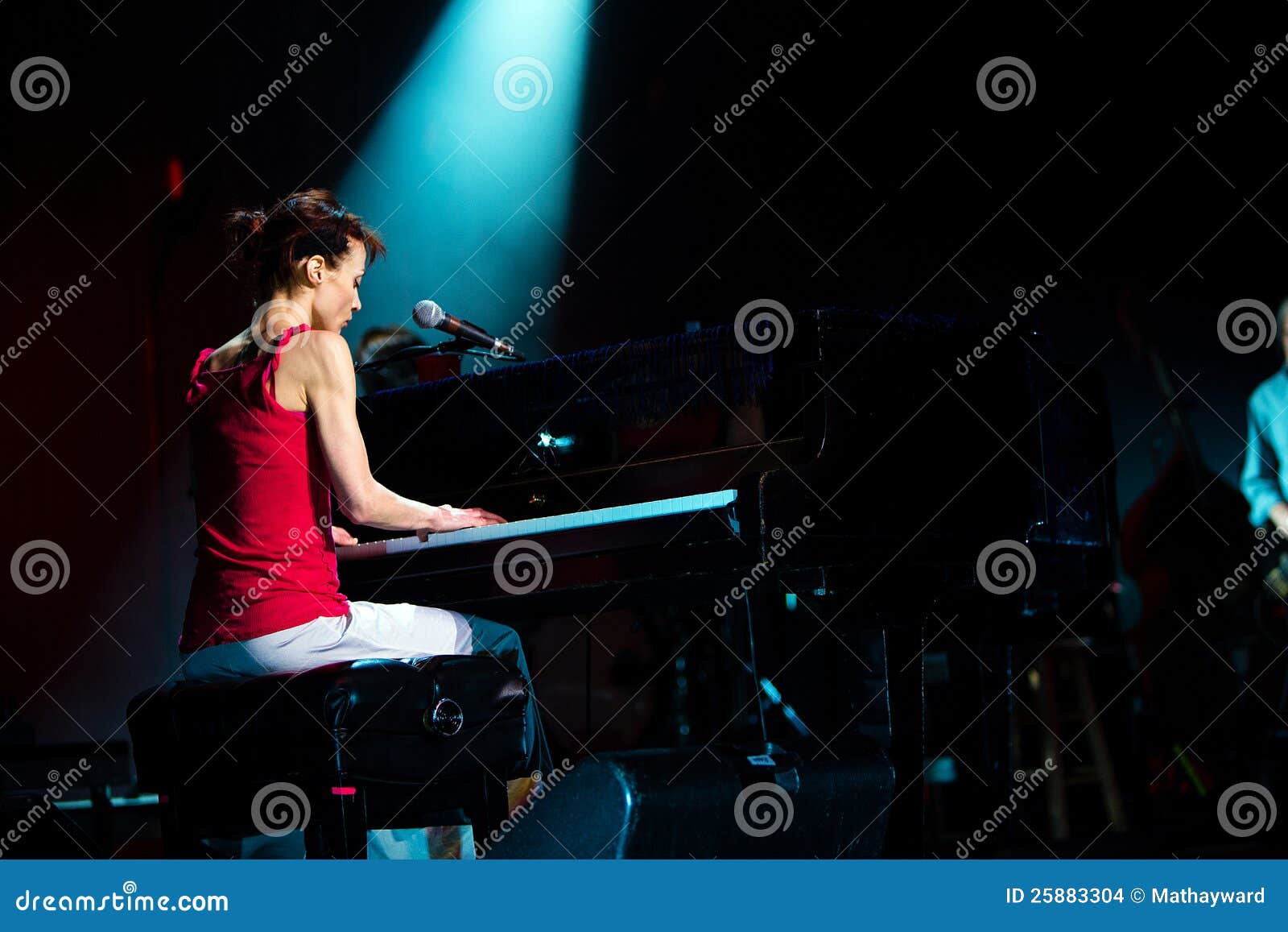 Fiona Apple Concert in Seattle, WA Editorial Stock Image - Image of ...