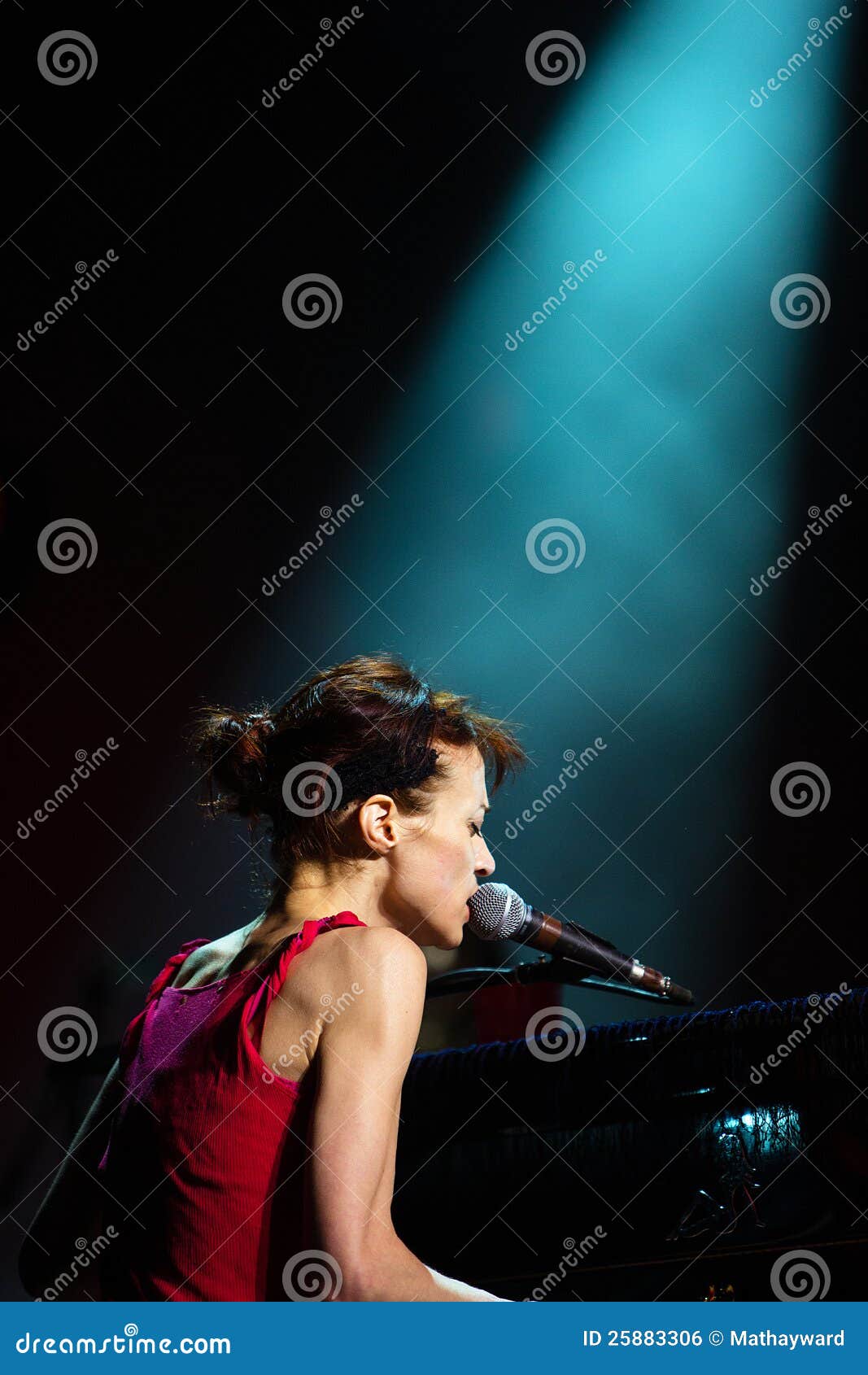 Fiona Apple Concert in Seattle, WA Editorial Photo - Image of singer ...