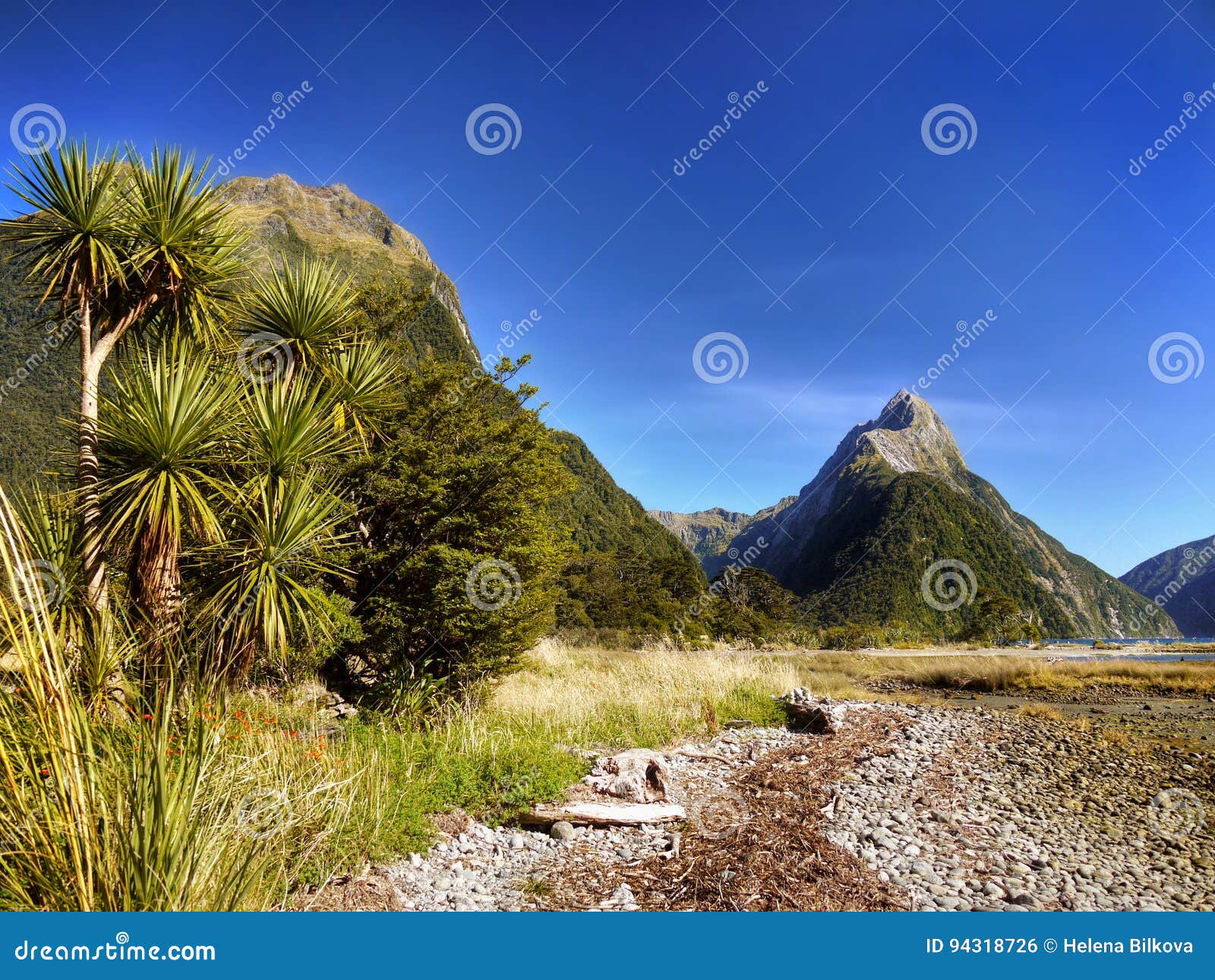 Fiordland Nationalpark, Neuseeland Stockfoto - Bild von berge, süd ...