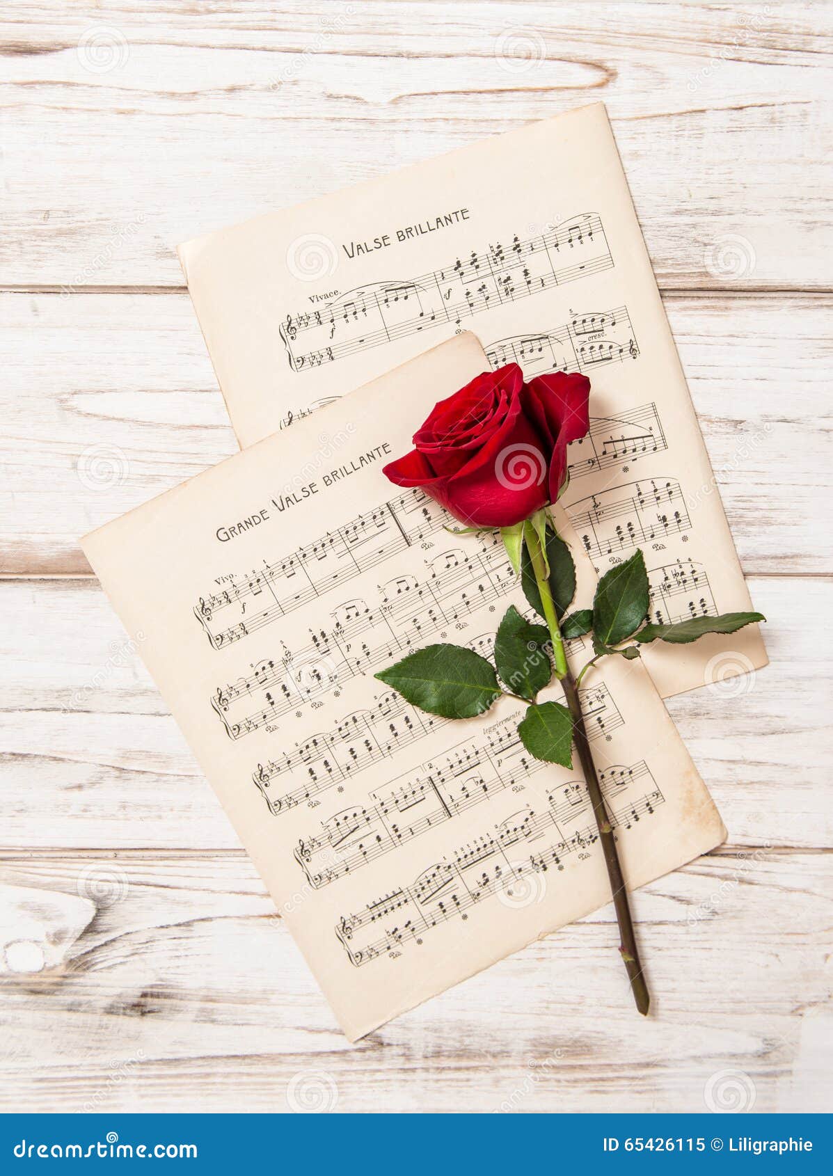 Fiore Della Rosa Rossa E Strato Delle Note Di Musica Immagine Stock ...