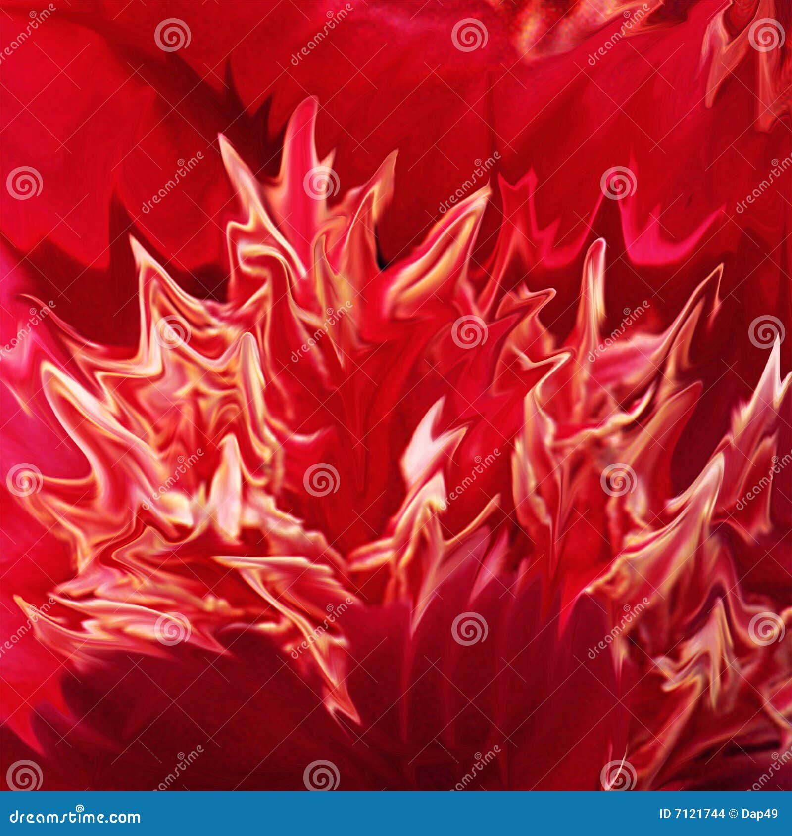 Fiore Di Colore Rosso Del Fuoco Fotografia Stock - Immagine di fuoco ...