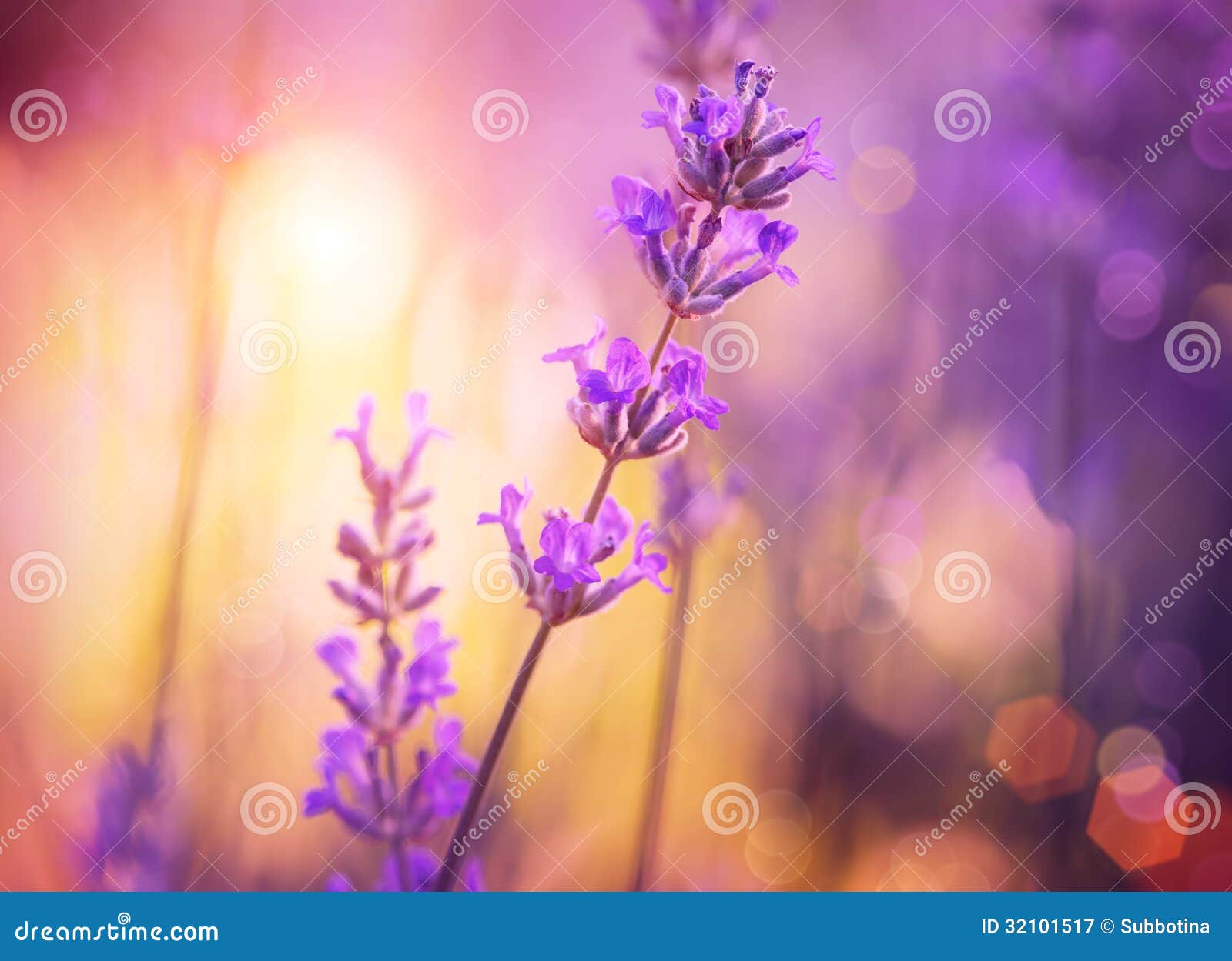 Fiori Art Design immagine stock. Immagine di fiori, magenta - 32101517