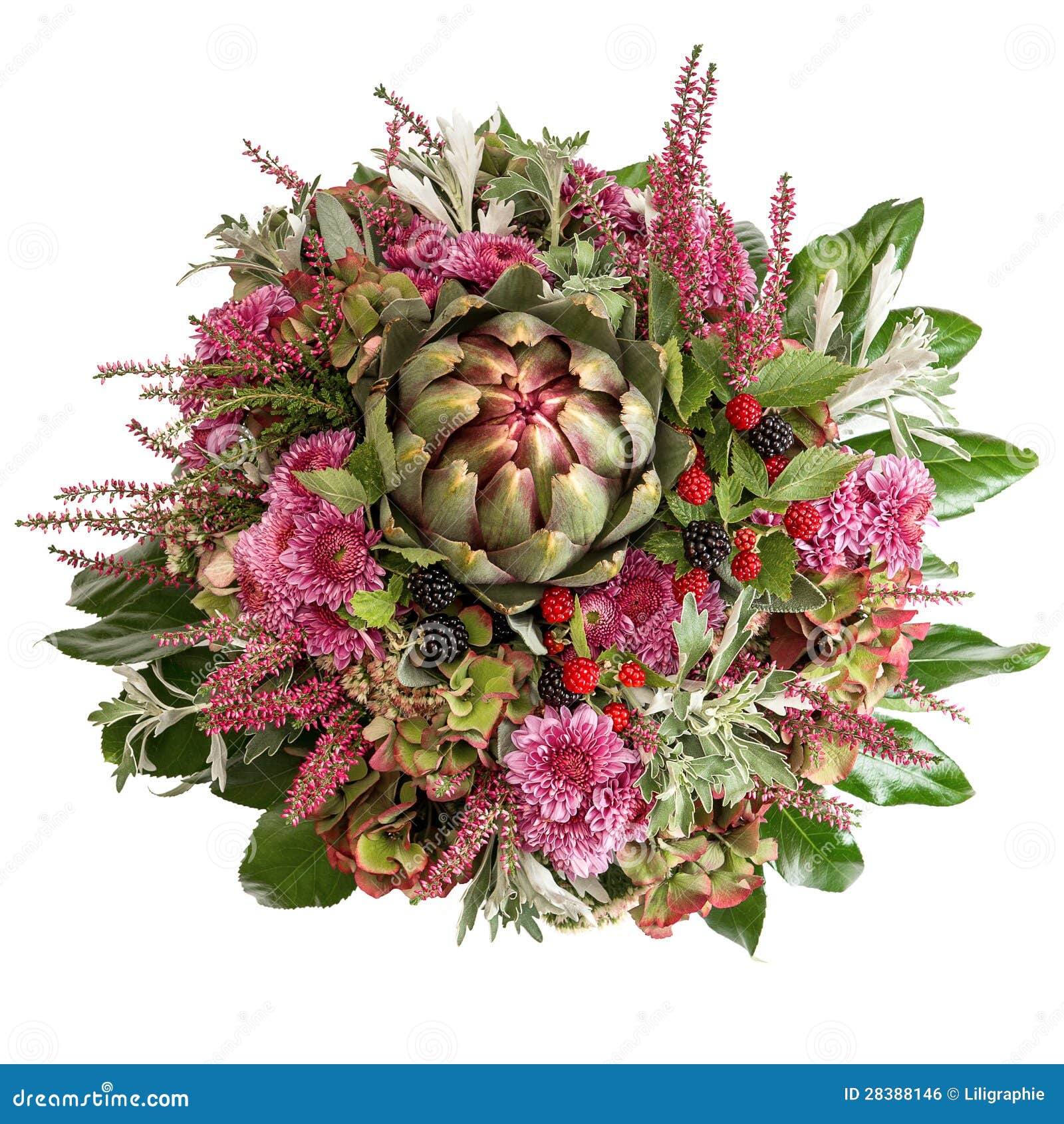 Fiori Del Crisantemo Con Il Carciofo E Le More Fotografia Stock ...