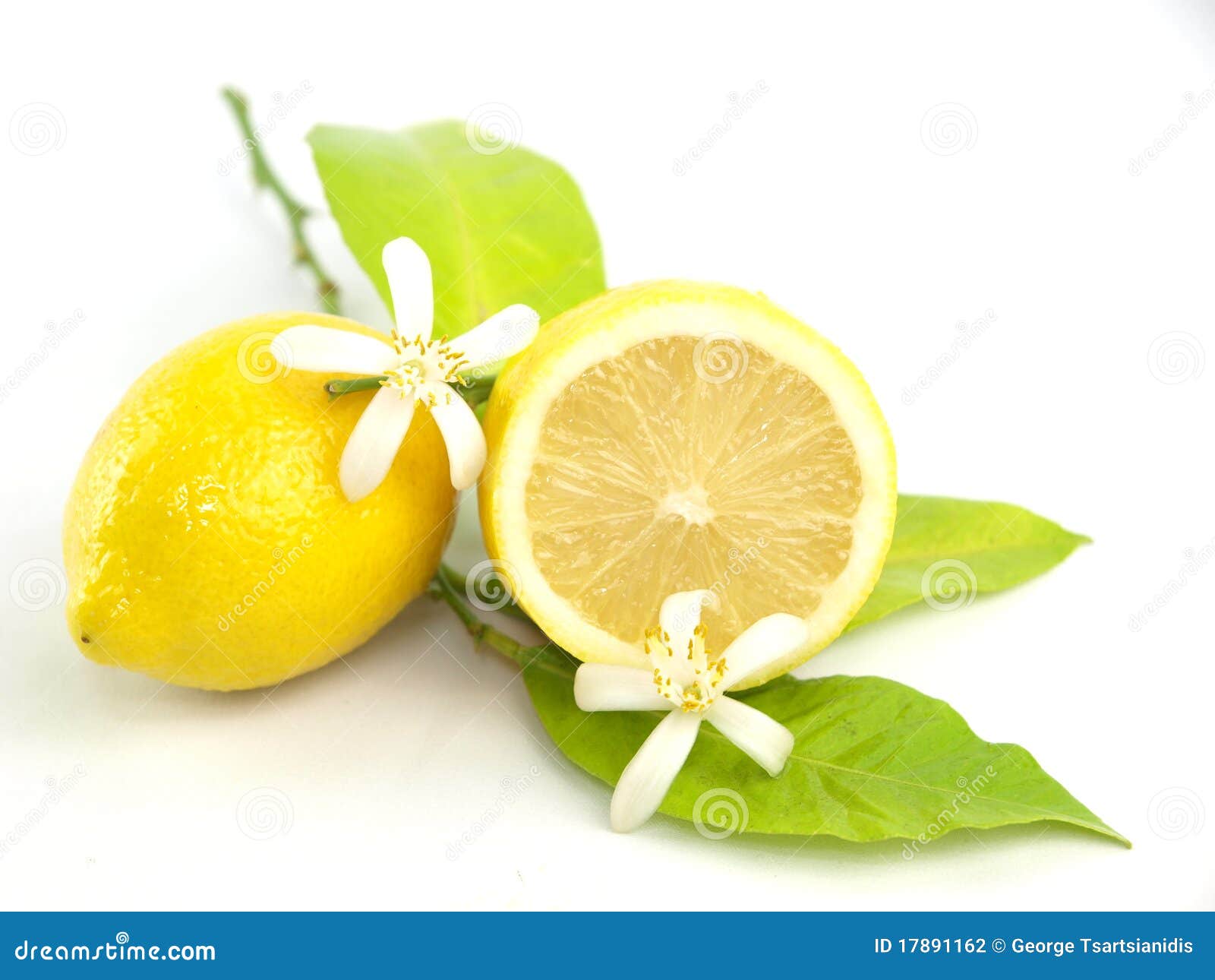 Fiori Del Limone E Frutta Del Limone Fotografia Stock - Immagine di ...