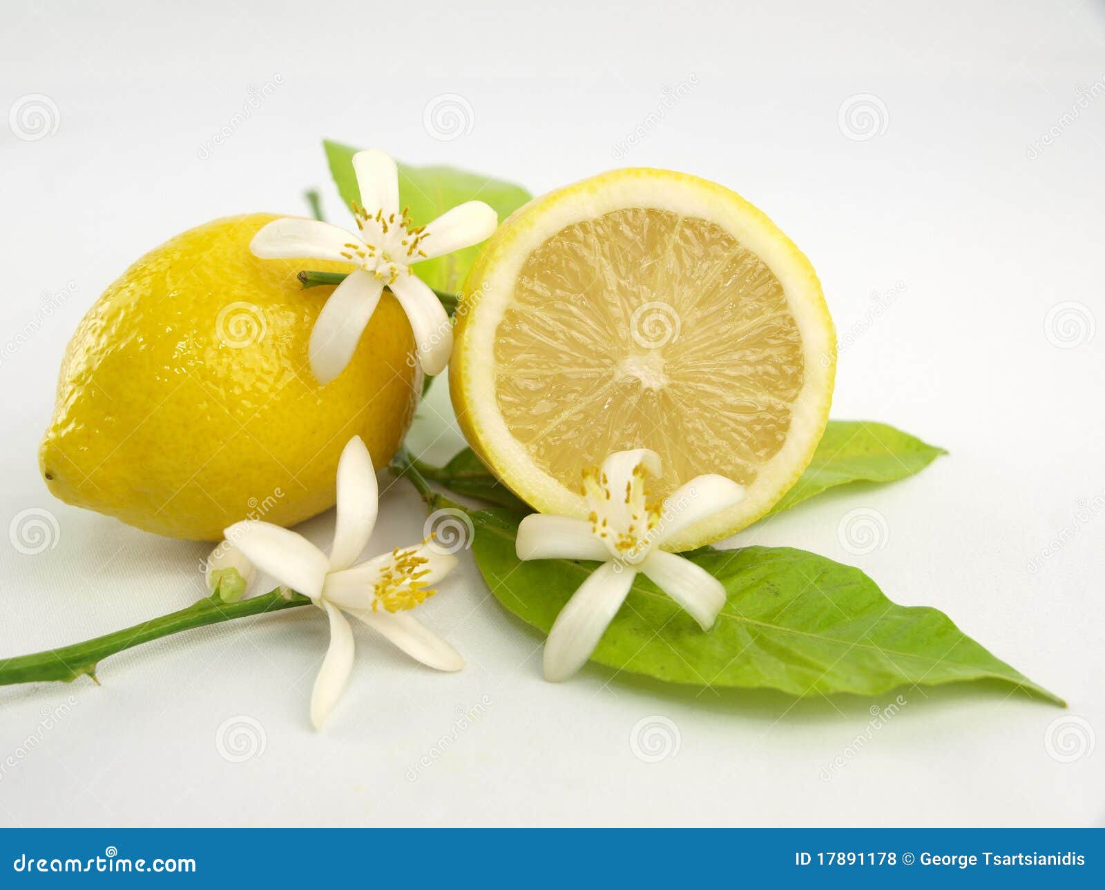Fiori Del Limone E Frutta Del Limone Fotografia Stock - Immagine di ...