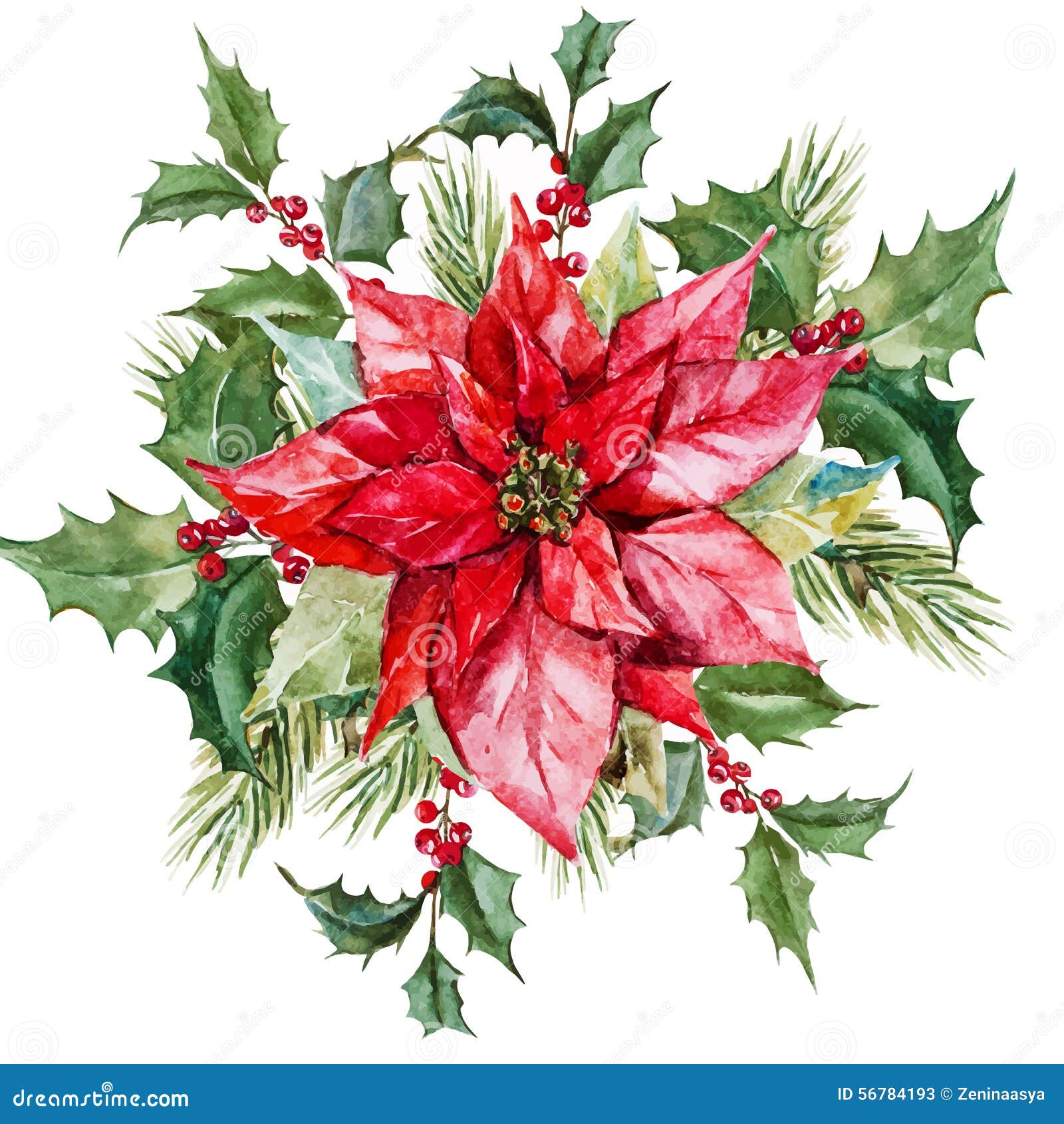 Fiori Di Natale Dell'acquerello Illustrazione Vettoriale ...