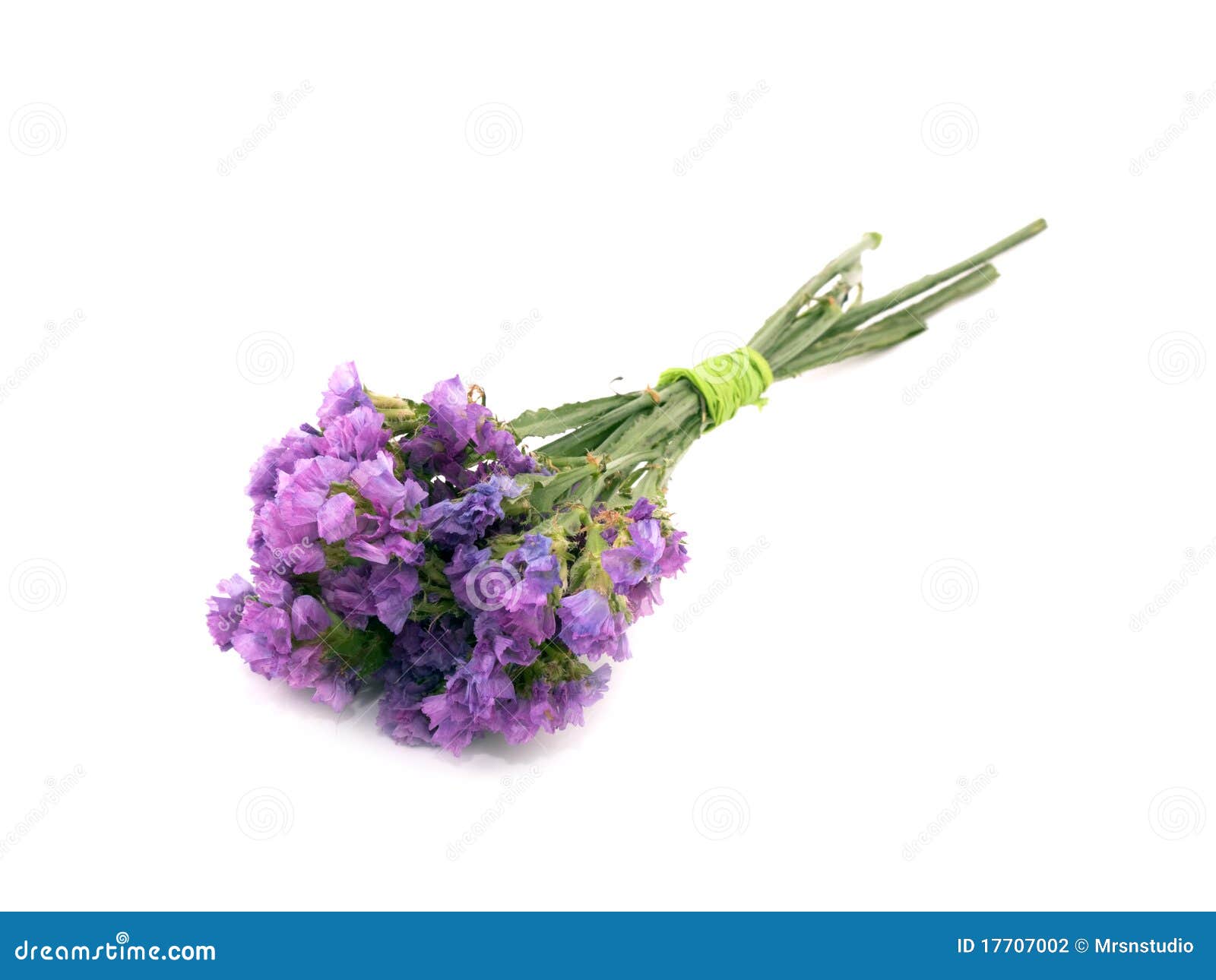 Fiori Di Statice - Limonium Sinuatum Fotografia Stock - Immagine di ...