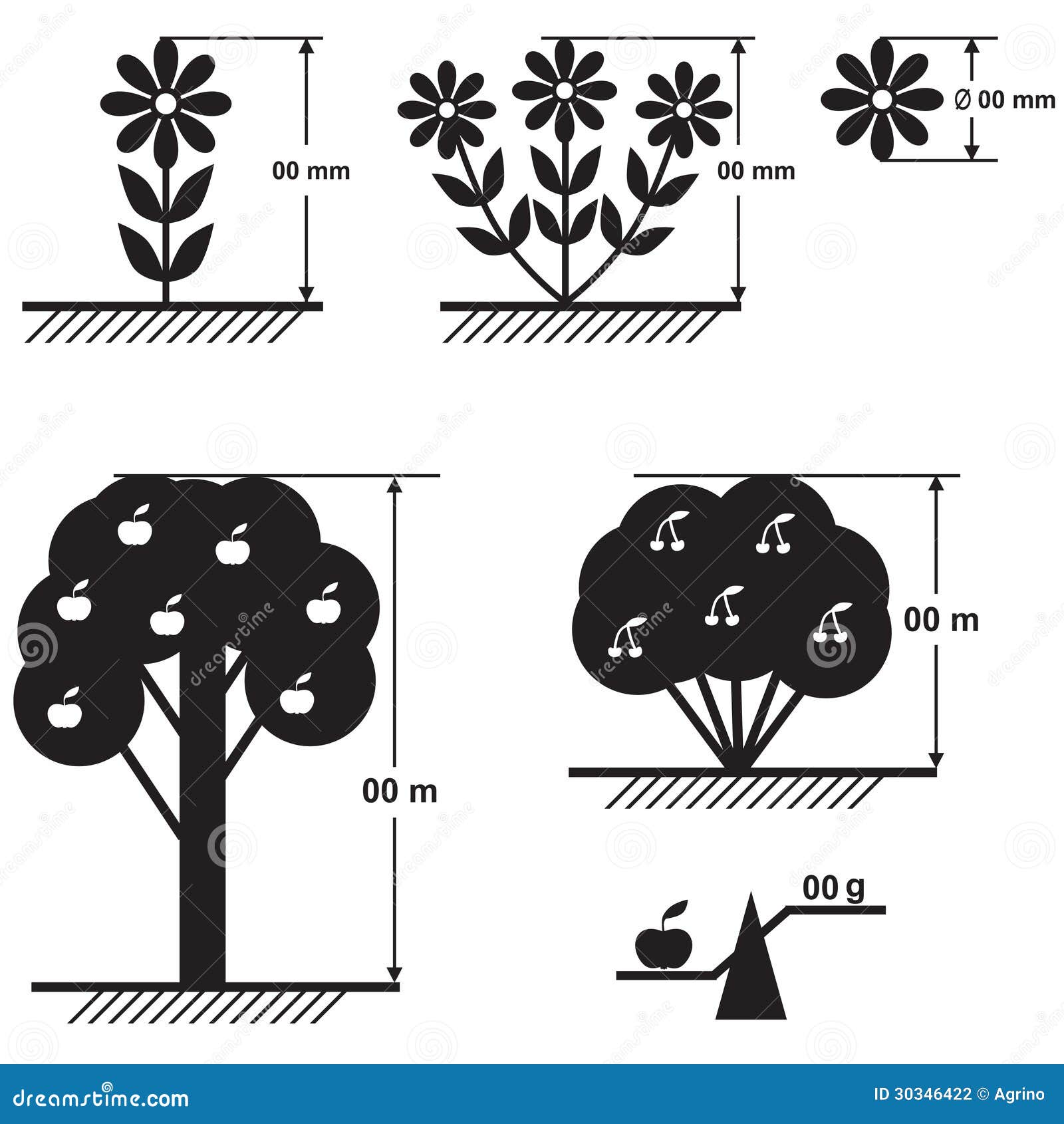 Fiori E Schema Di Dimensione Degli Alberi Illustrazione Vettoriale ...