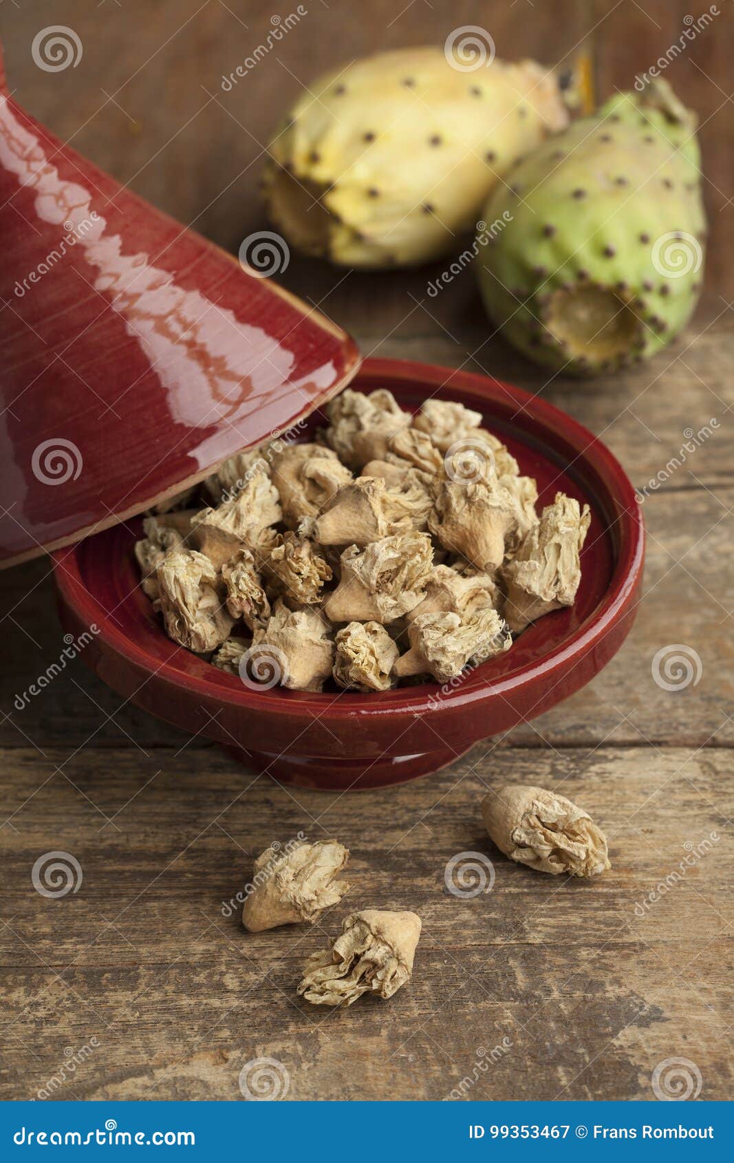 Fiori Secchi Del Fico D'India Immagine Stock - Immagine di cactus ...