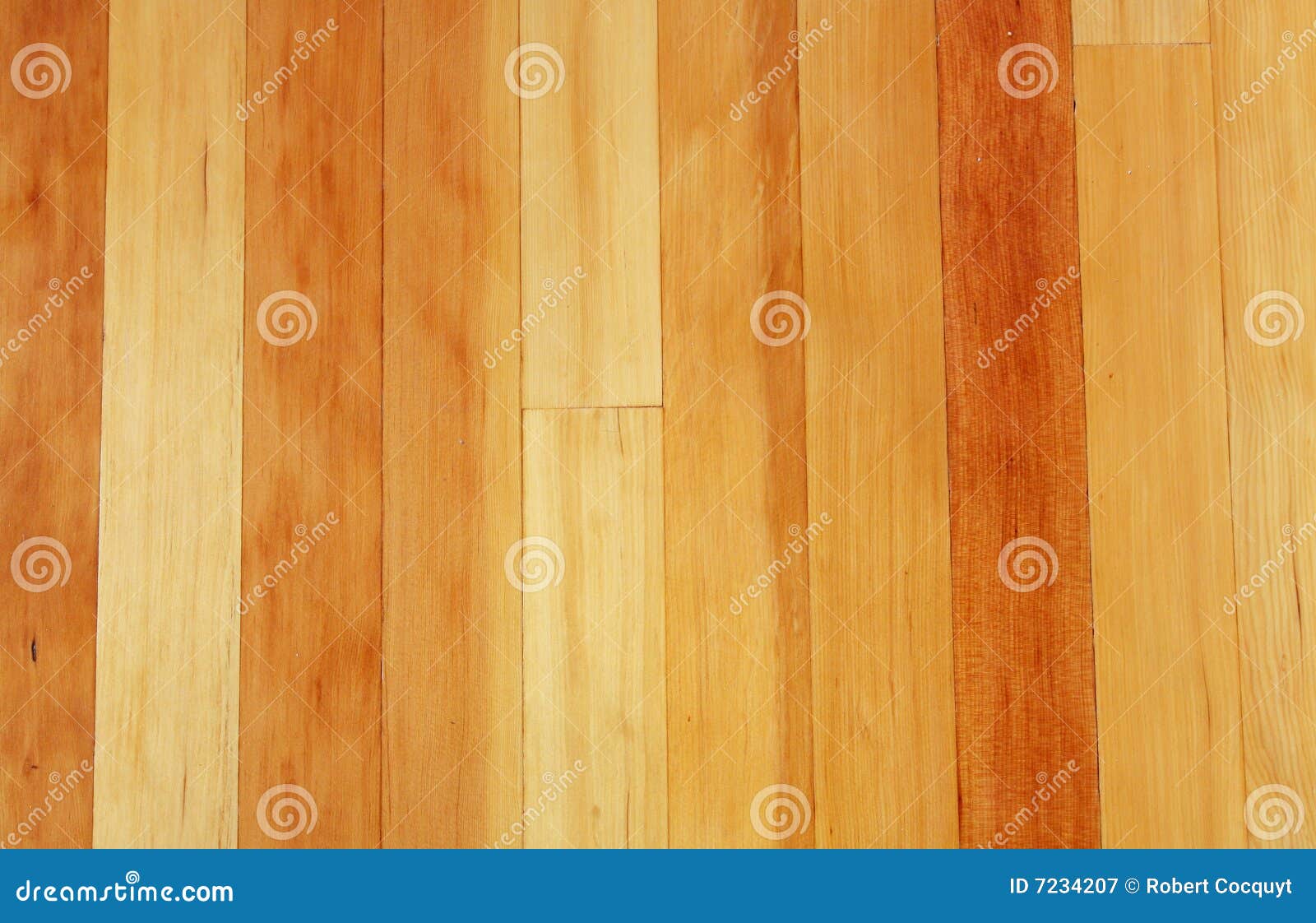 Fir stock image. Image of lines, texture, grain, douglas - 7234207