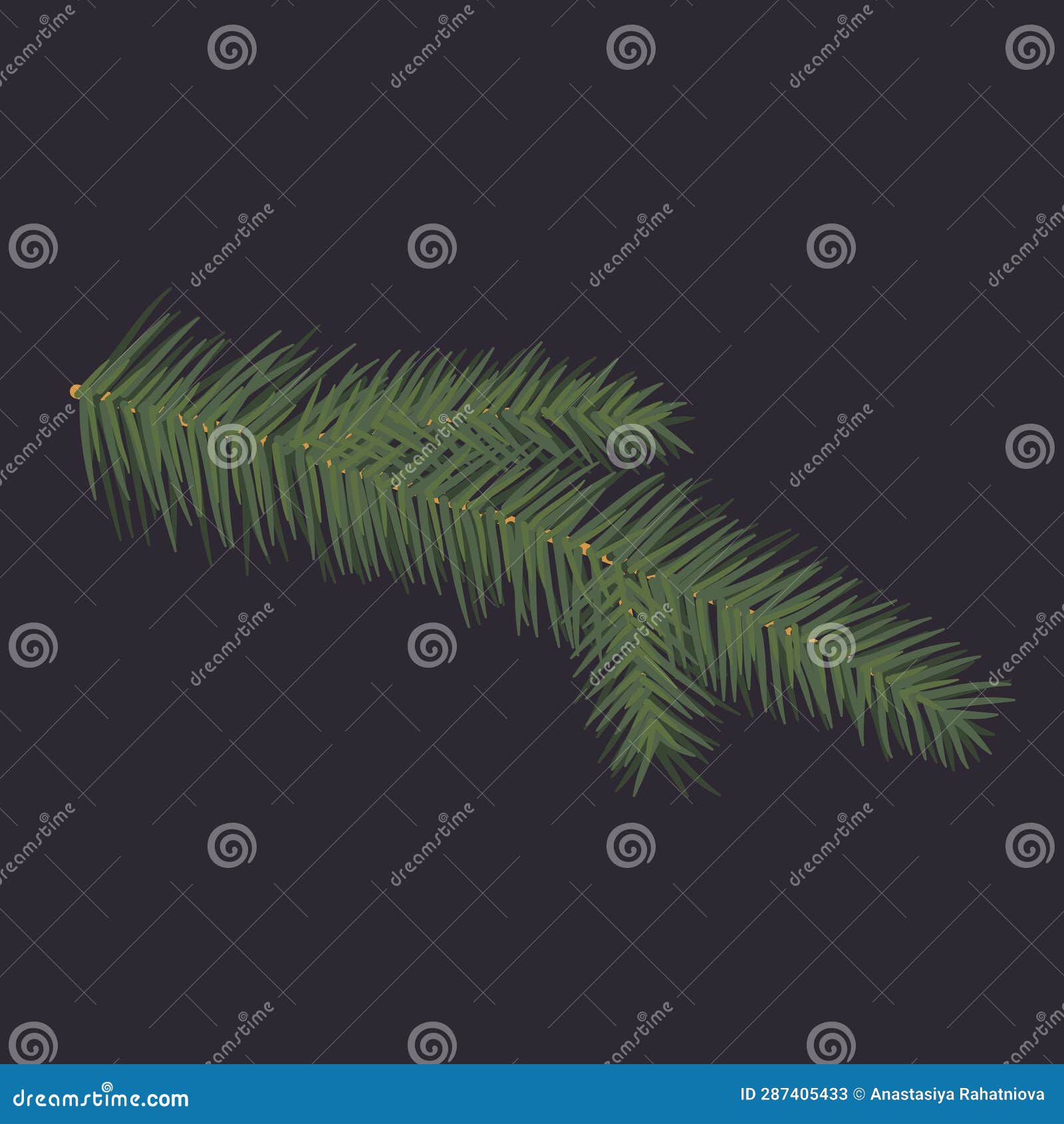 Fir Branch Isolated Vector Illustration. Stock Vector - Illustration of ...