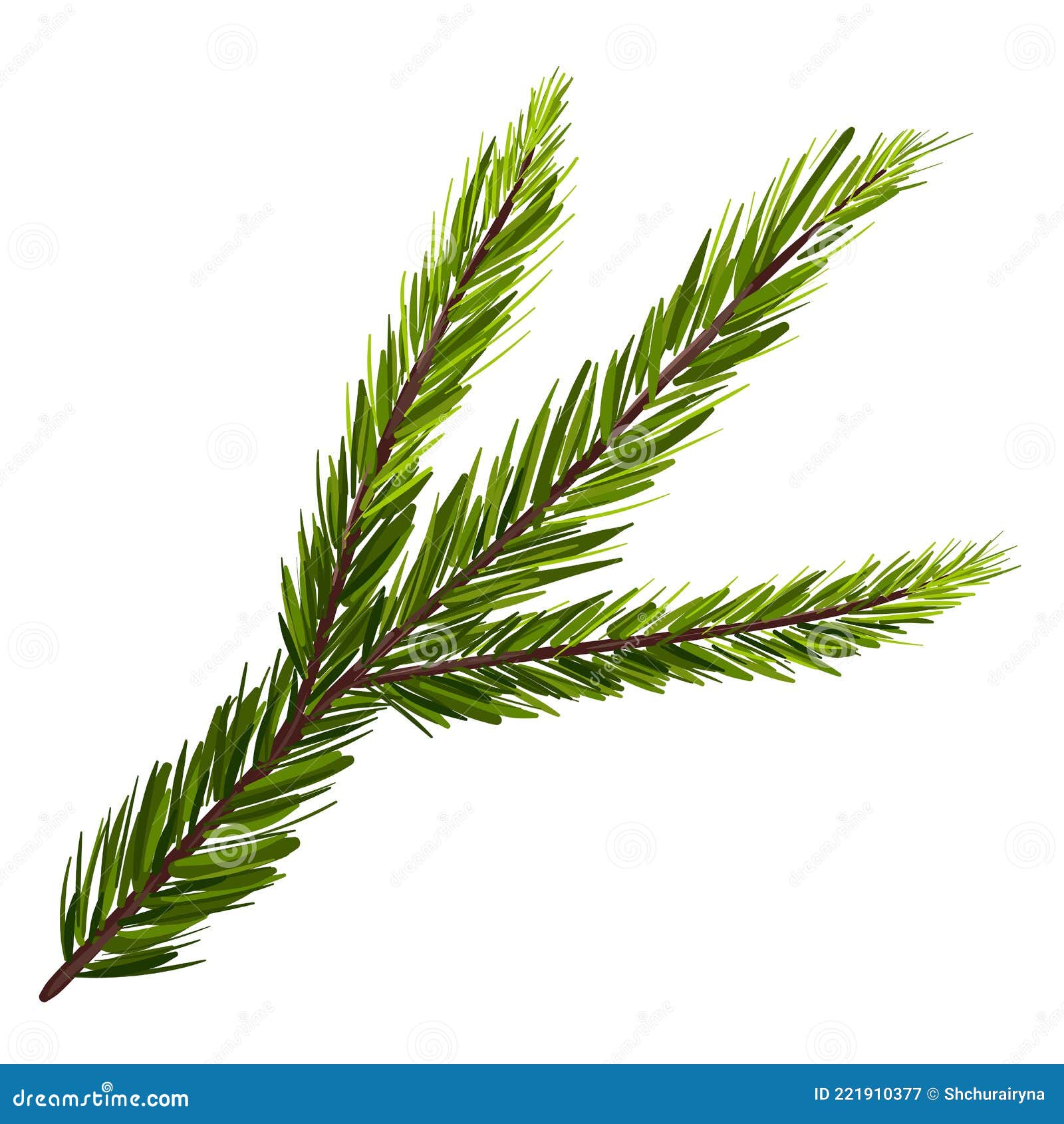 Fir Branch Isolated on White Background Stock Vector - Illustration of ...