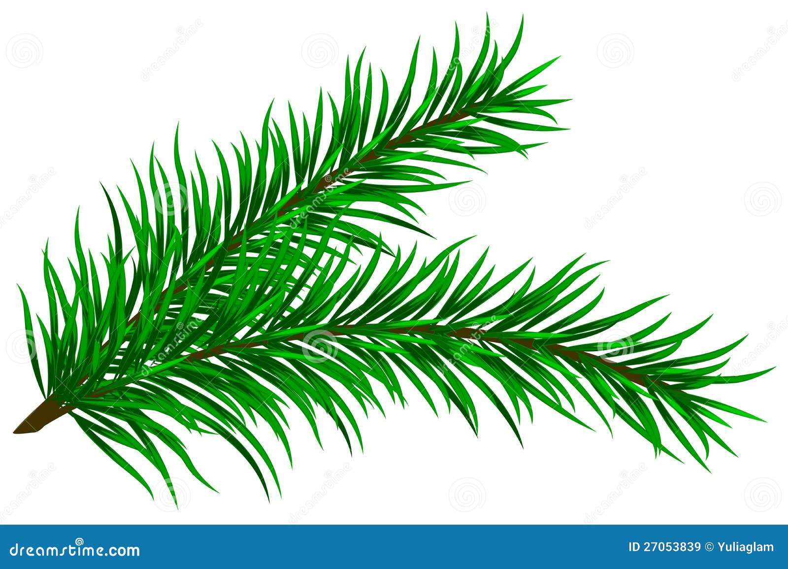 Fir branches stock vector. Illustration of tree, clipart - 27053839