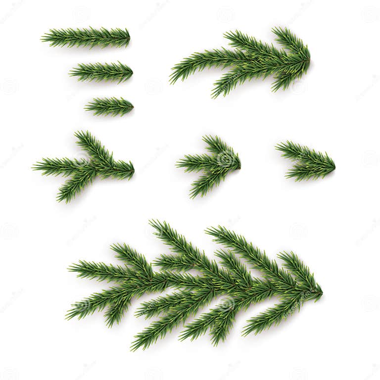 Fir Branches and Elements Set. Vector Christmas Tree Parts. Stock ...