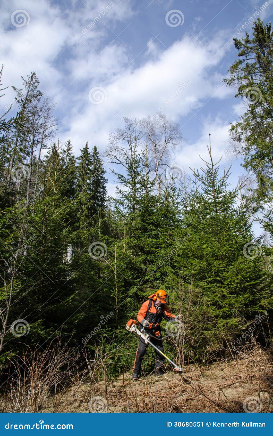 Fir forest worker stock image. Image of protection, maintenance - 30680551