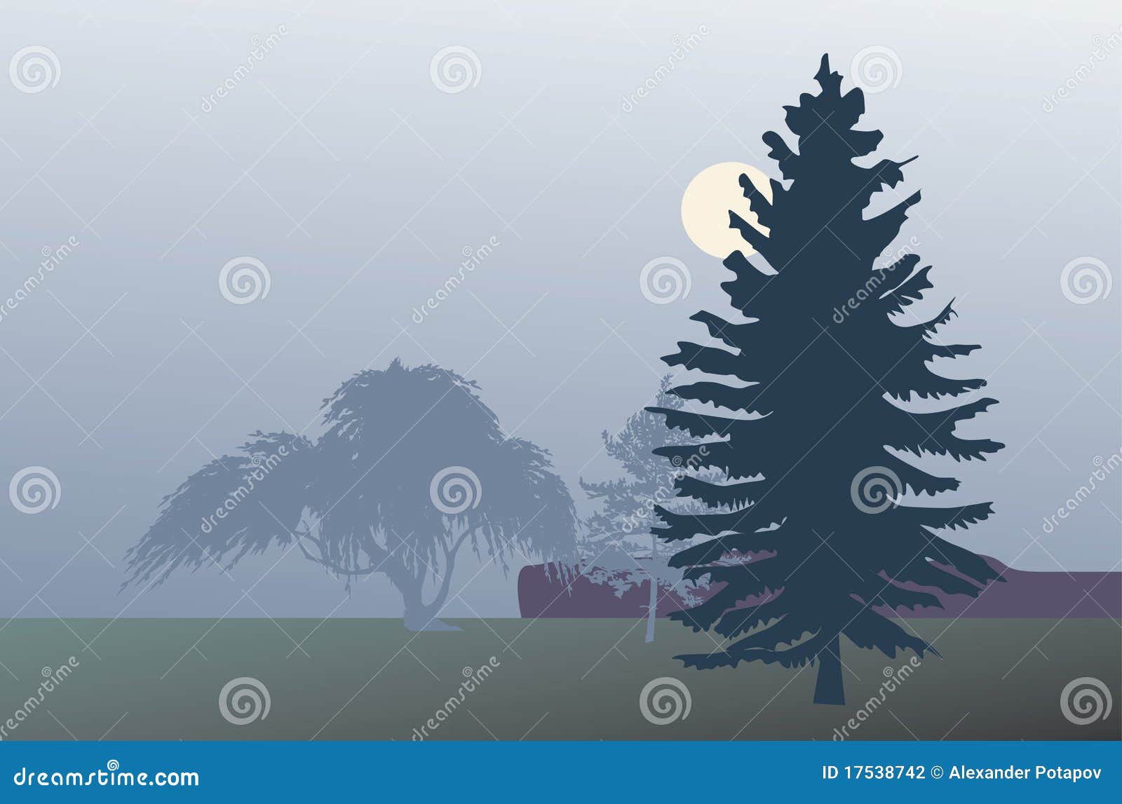 Fir in mist illustration stock vector. Illustration of black - 17538742