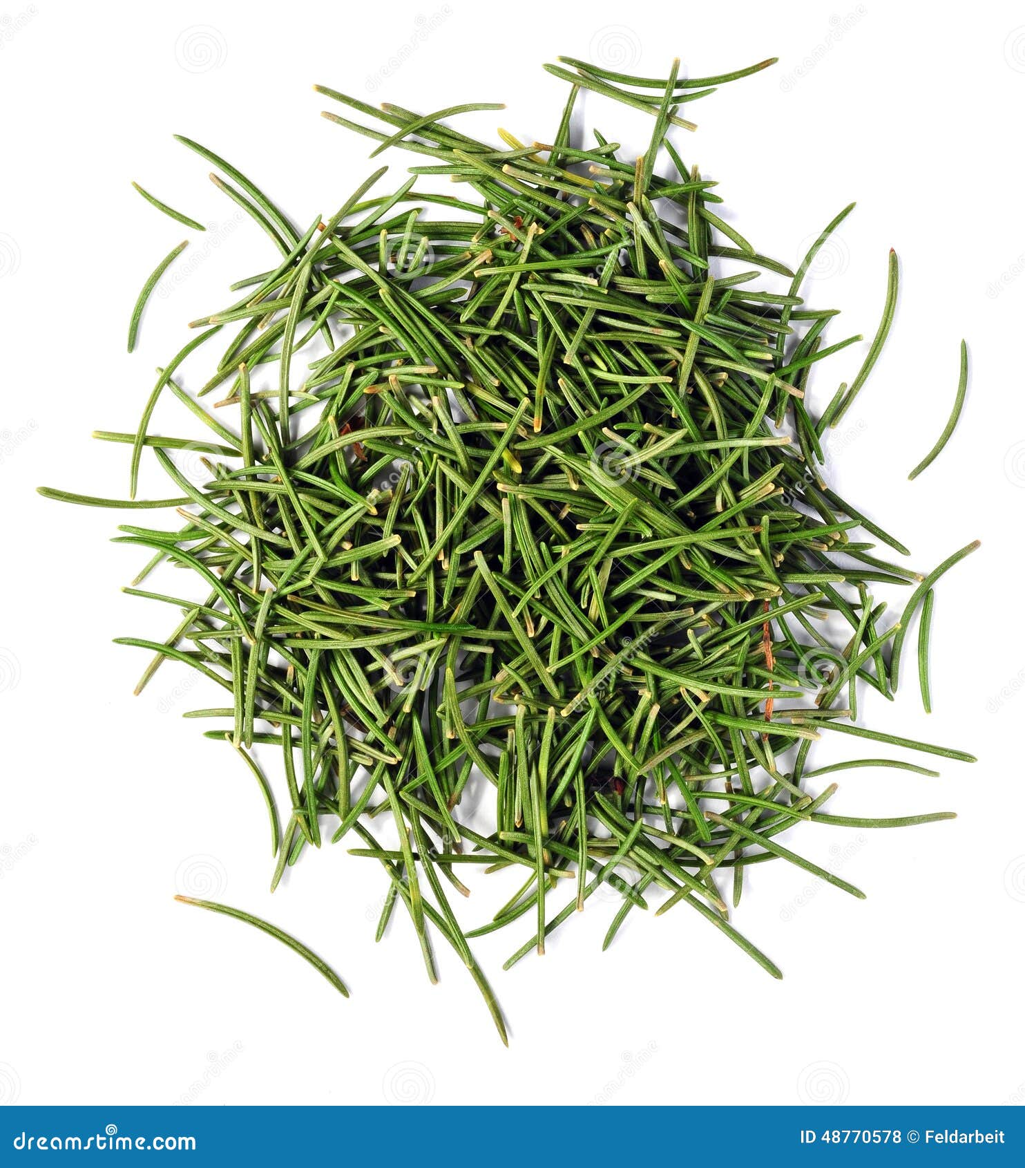 Fir needles stock photo. Image of fallen, needle, background - 48770578