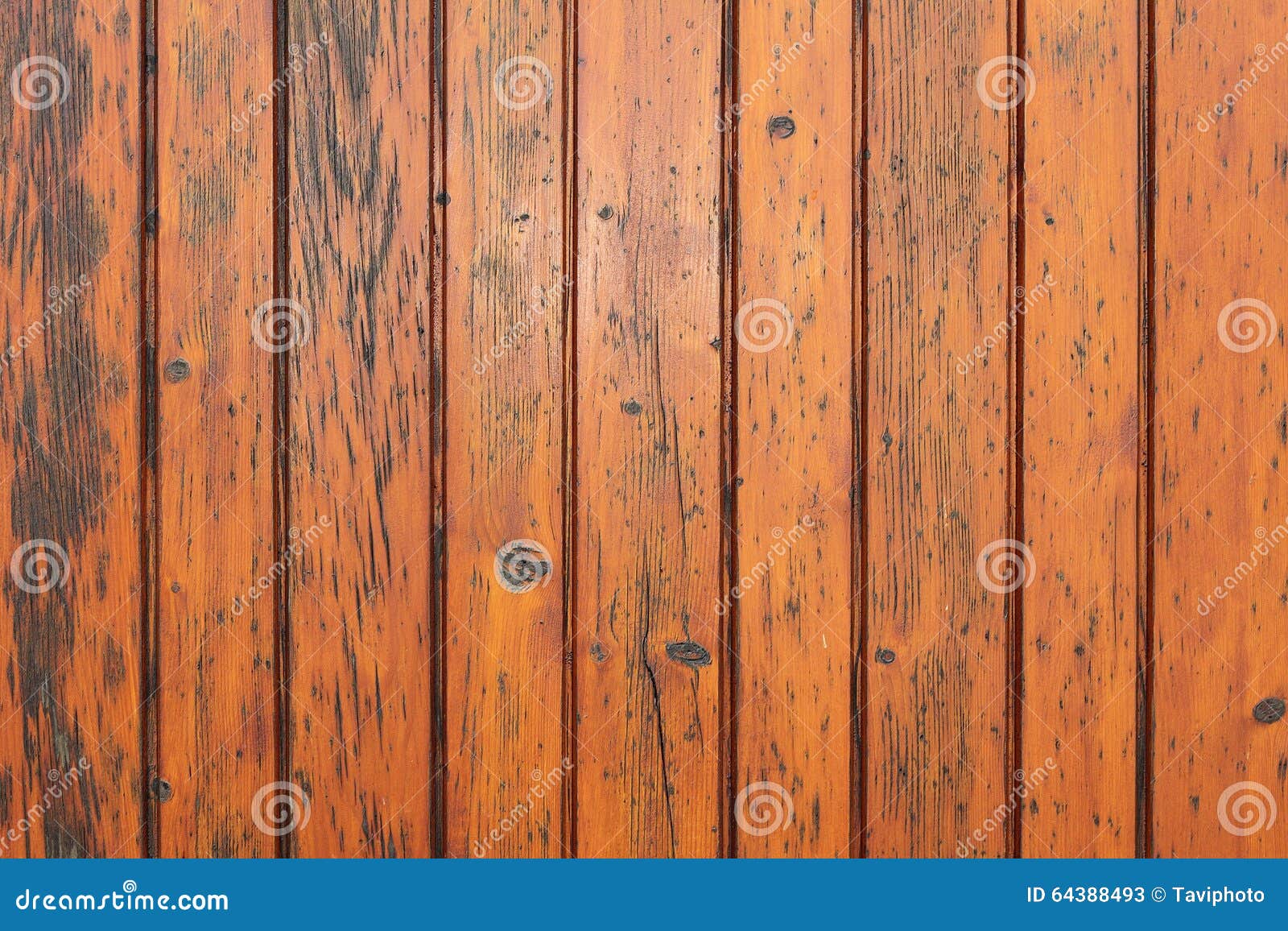 Fir planks on wall stock image. Image of hardwood, knotted - 64388493
