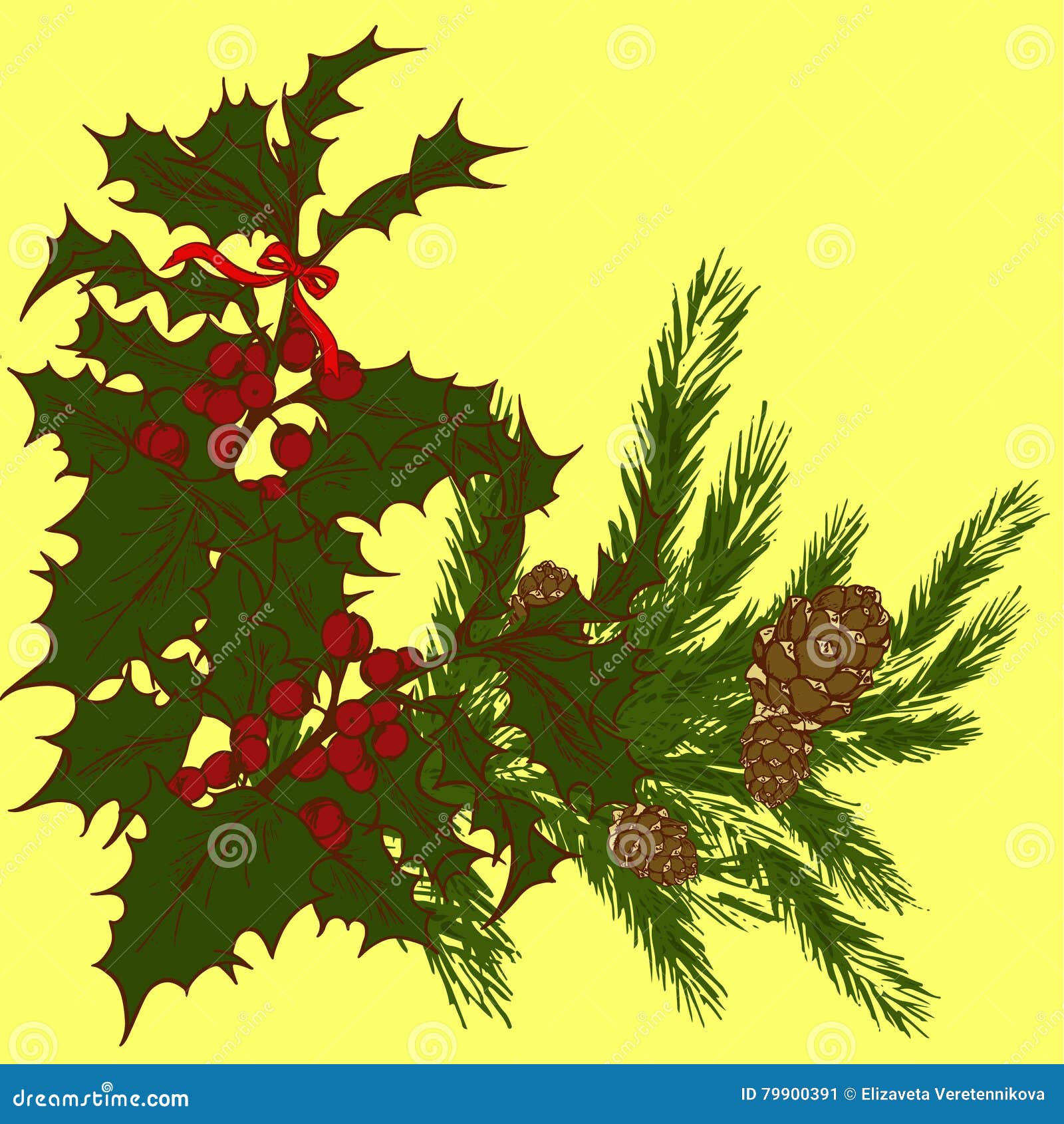 Fir sprig of holly sprig stock vector. Illustration of ribbon - 79900391