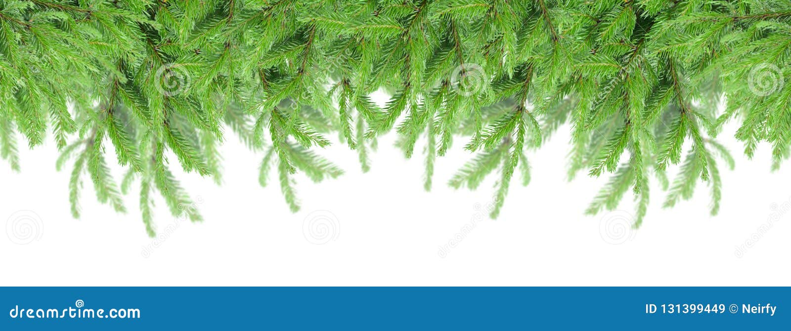 Fir tree border stock image. Image of needle, advent - 131399449