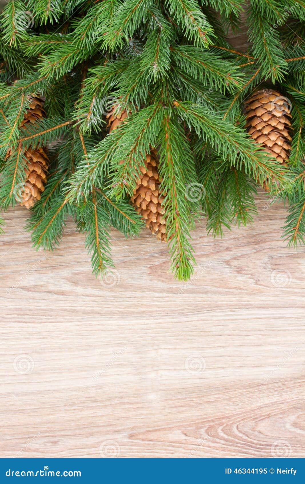 Fir tree border stock image. Image of decor, decorative - 46344195