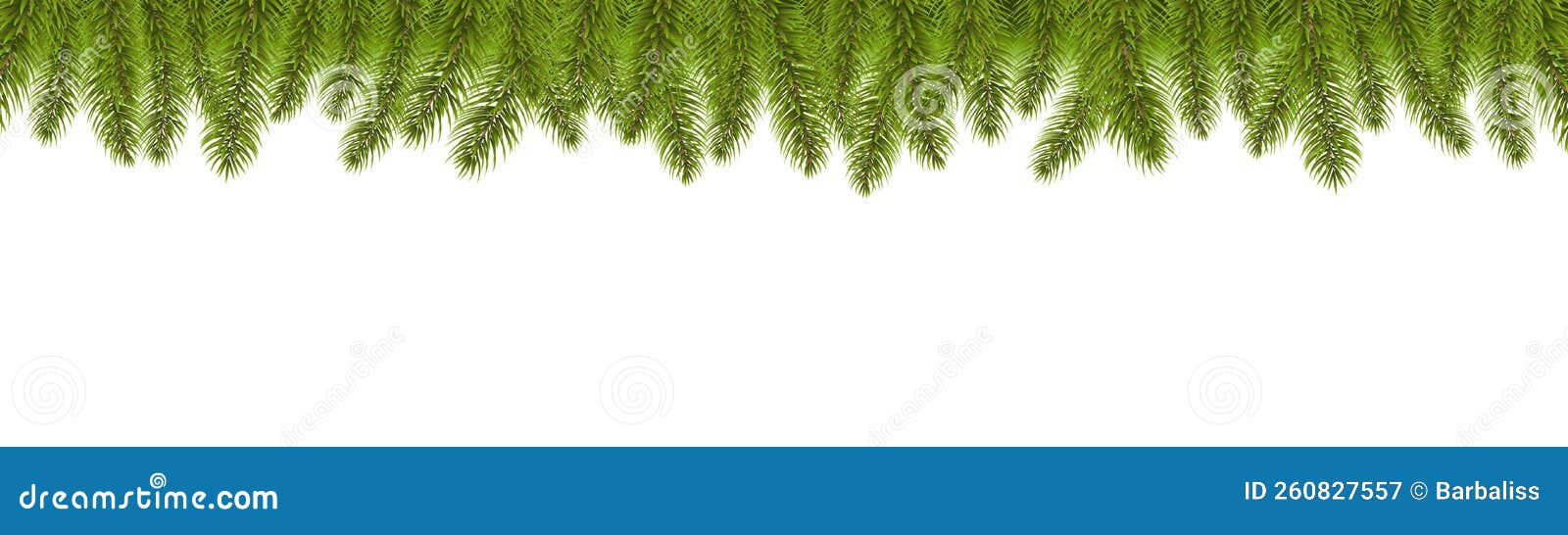 Fir Tree Border with White Background Stock Illustration - Illustration ...