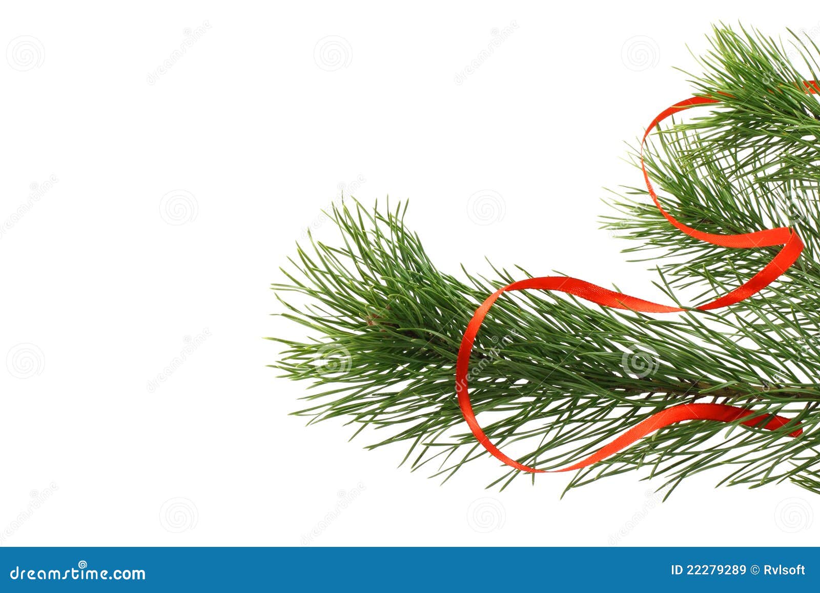 Fir Tree Branch with Red Ribbon Stock Image - Image of details, circle ...