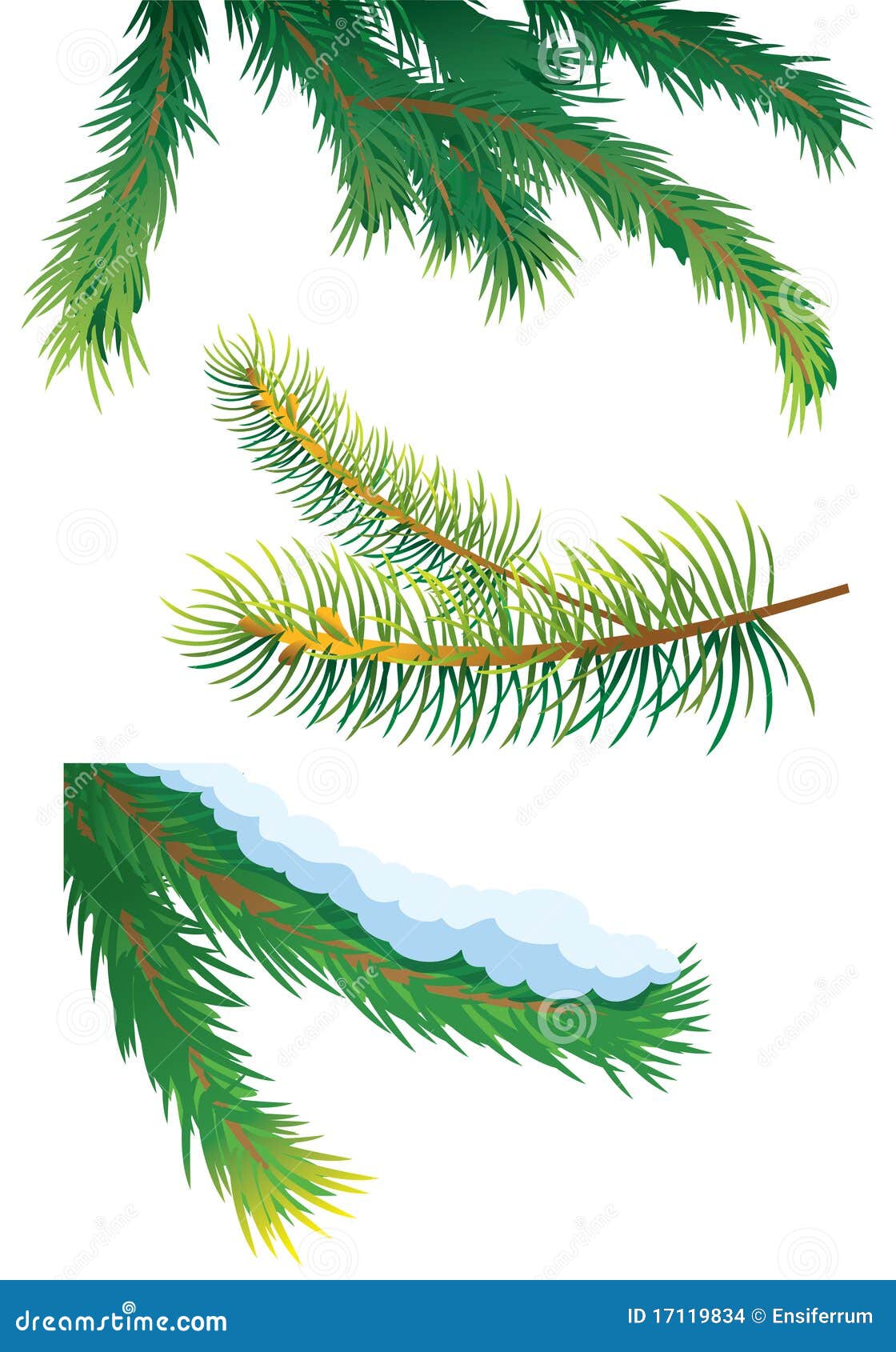 Fir tree branches stock vector. Illustration of spruce - 17119834