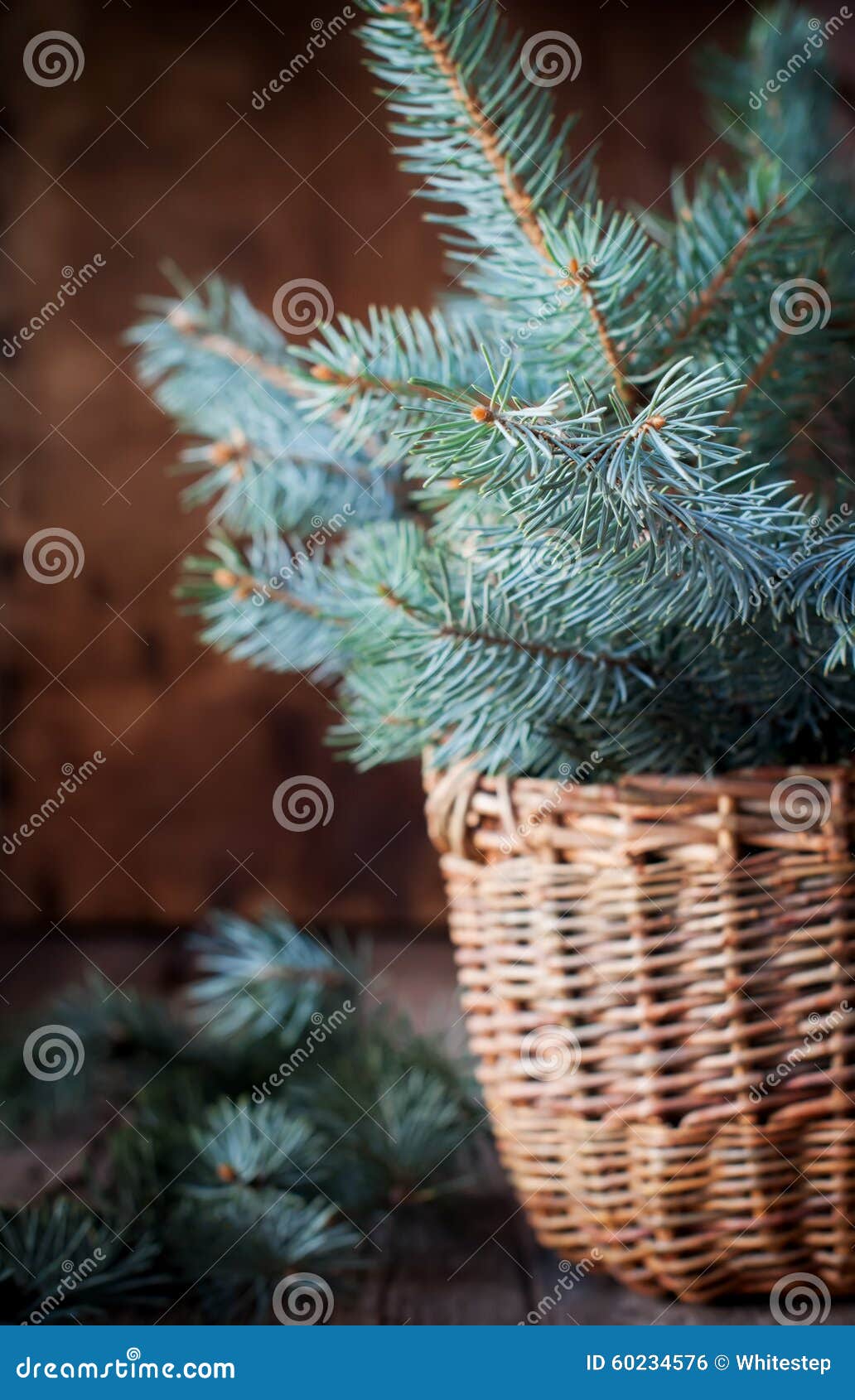 Fir Tree Branches in a Basket on Dark Wooden Background Stock Photo ...