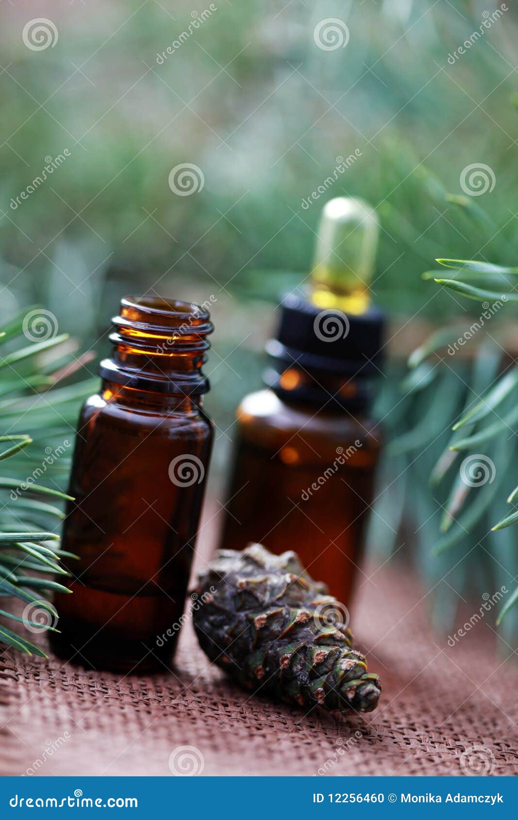 Fir tree essential oil stock photo. Image of wellness - 12256460