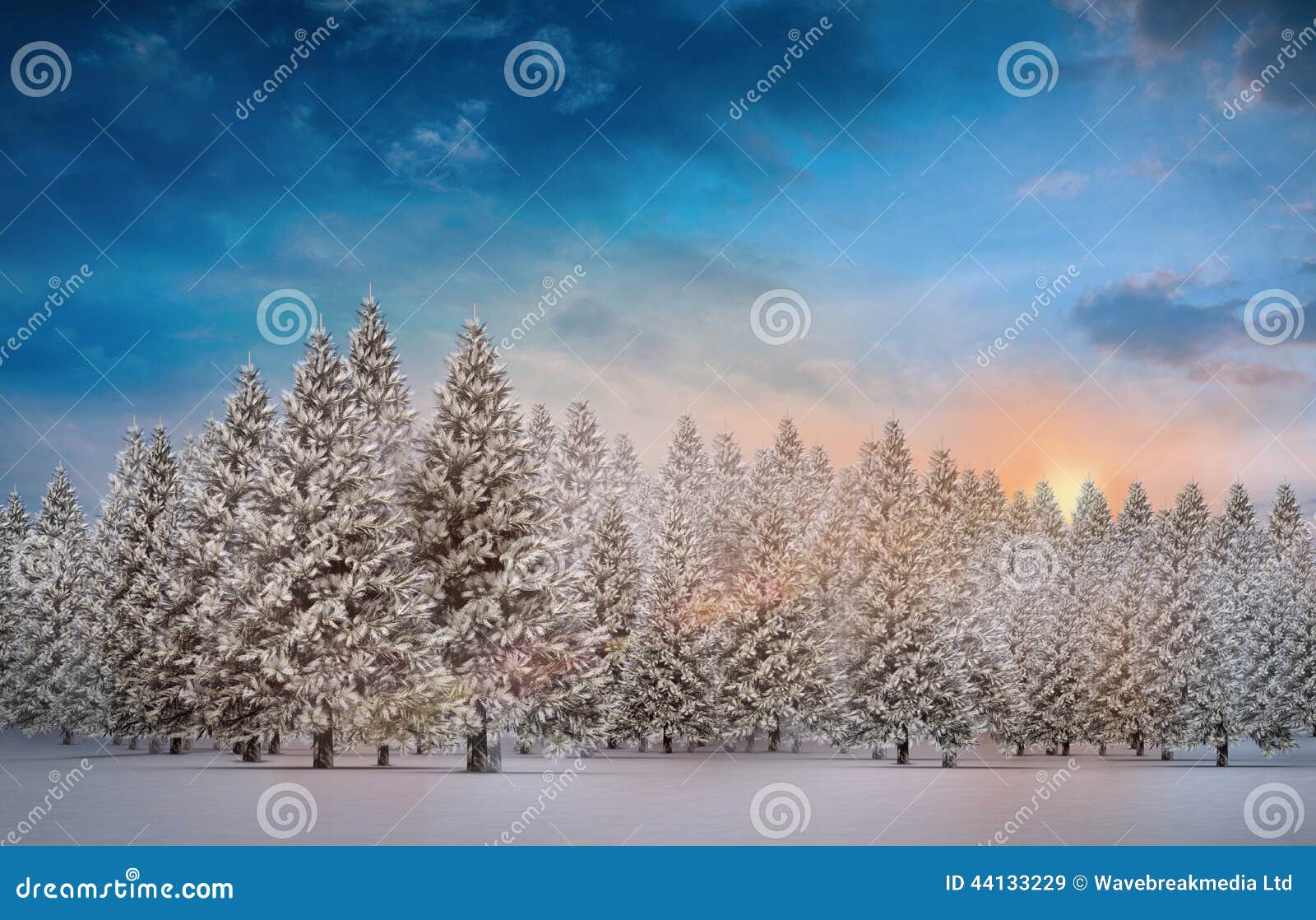 Fir Tree Forest in Snowy Landscape Stock Illustration - Illustration of ...