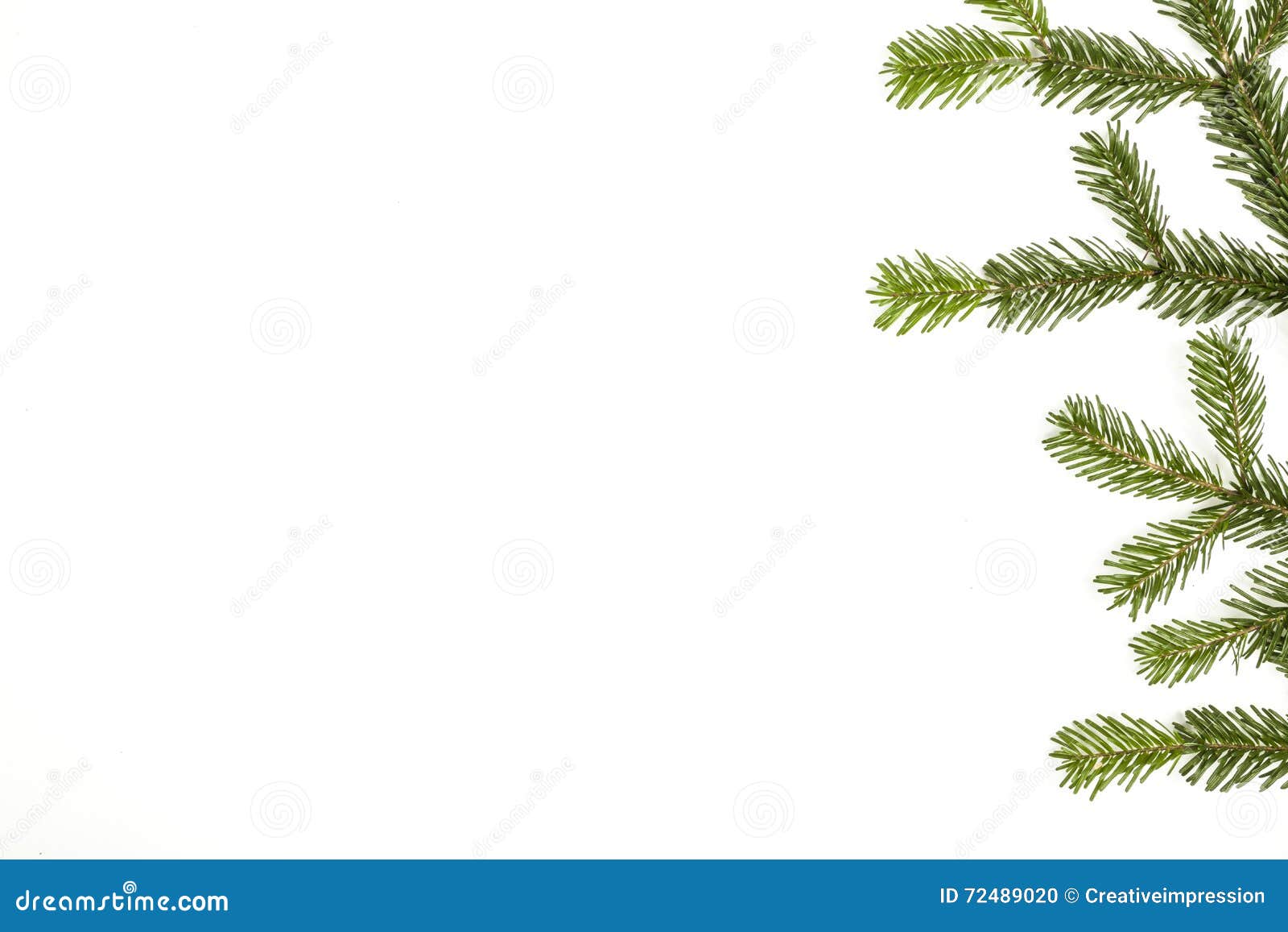 Fir Tree Isolated Border Design Stock Photo - Image of branches, green ...
