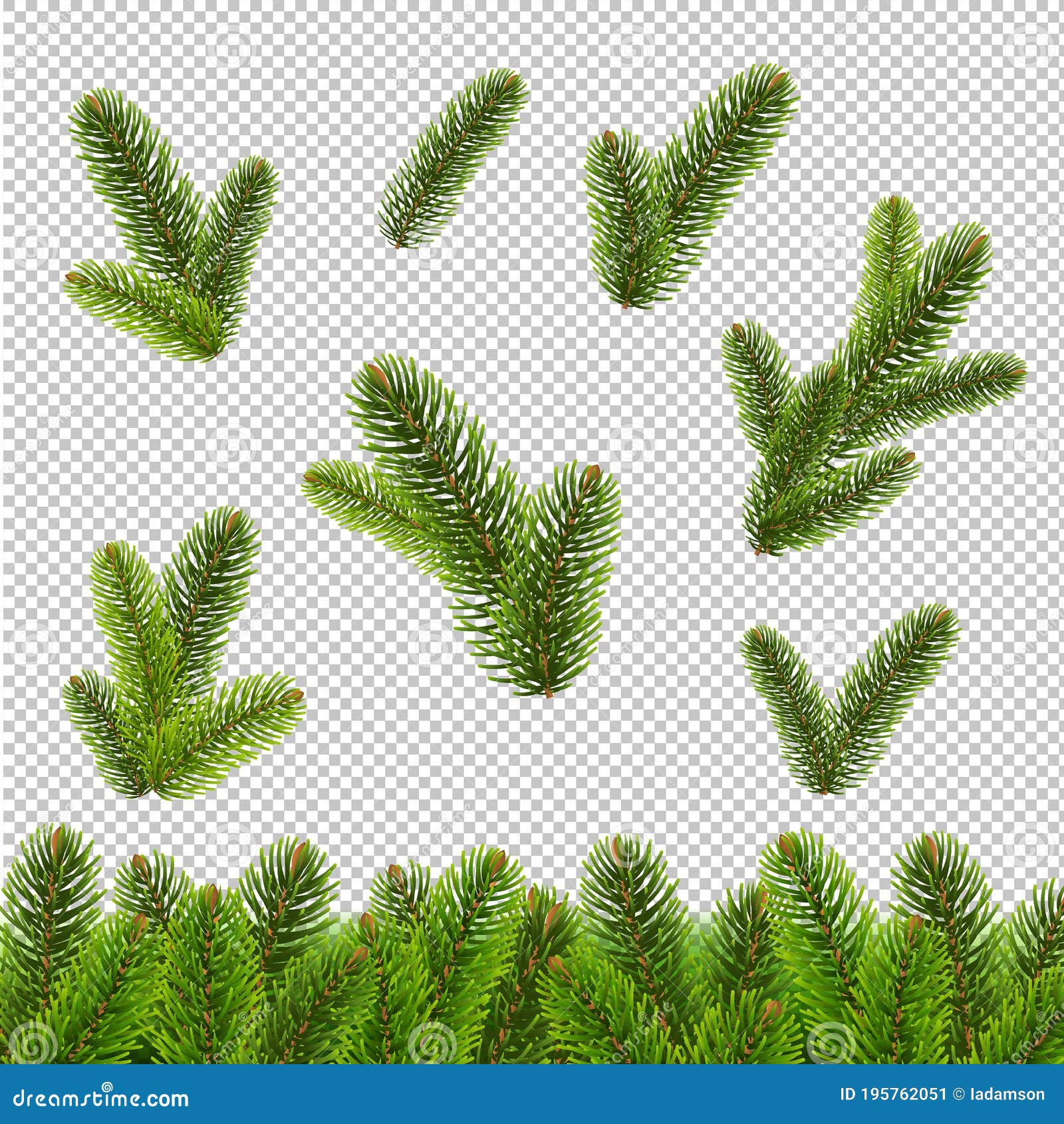 Fir Tree Isolated Transparent Background Stock Vector - Illustration of ...