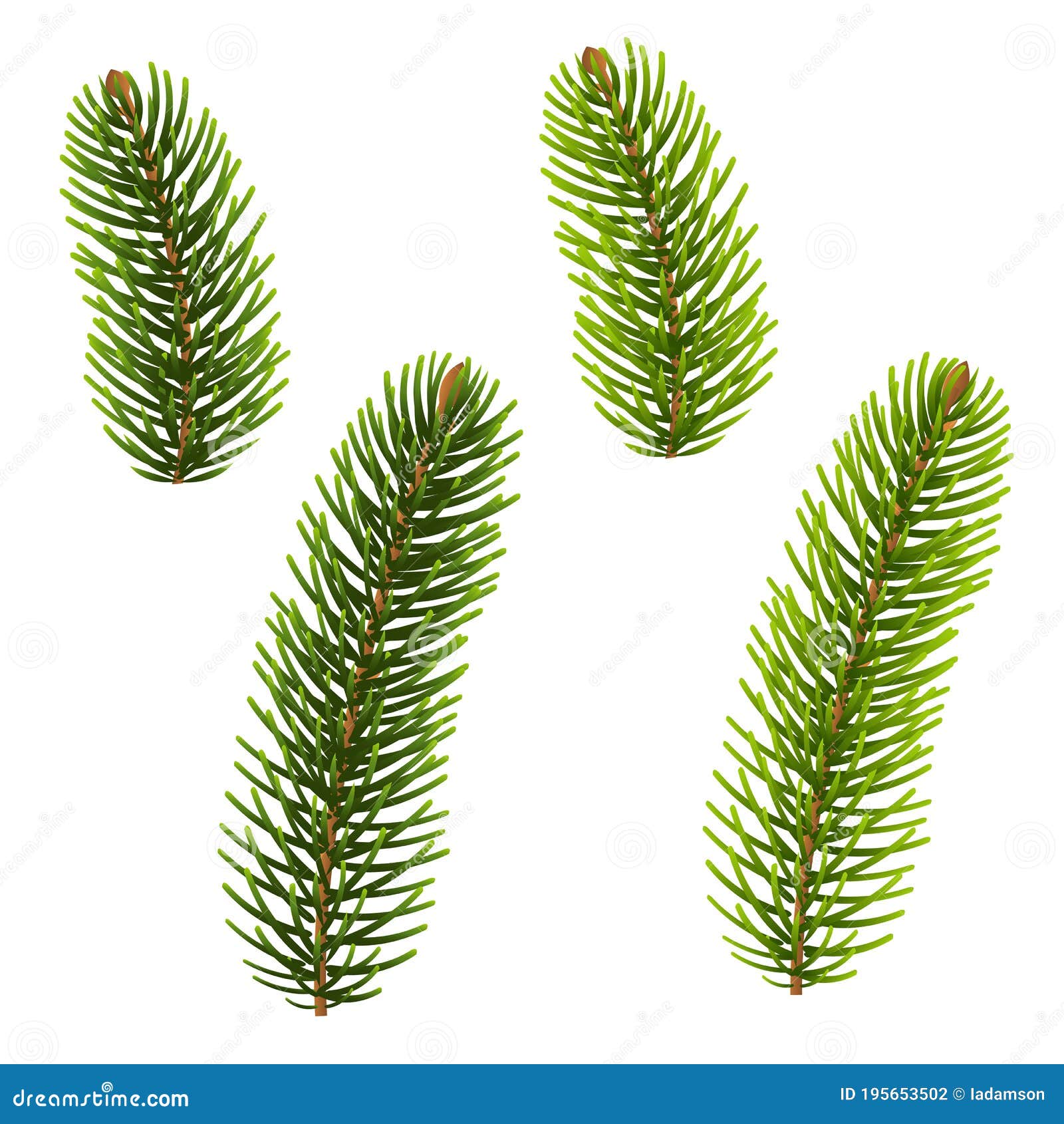Fir Tree Isolated stock vector. Illustration of christmas - 195653502
