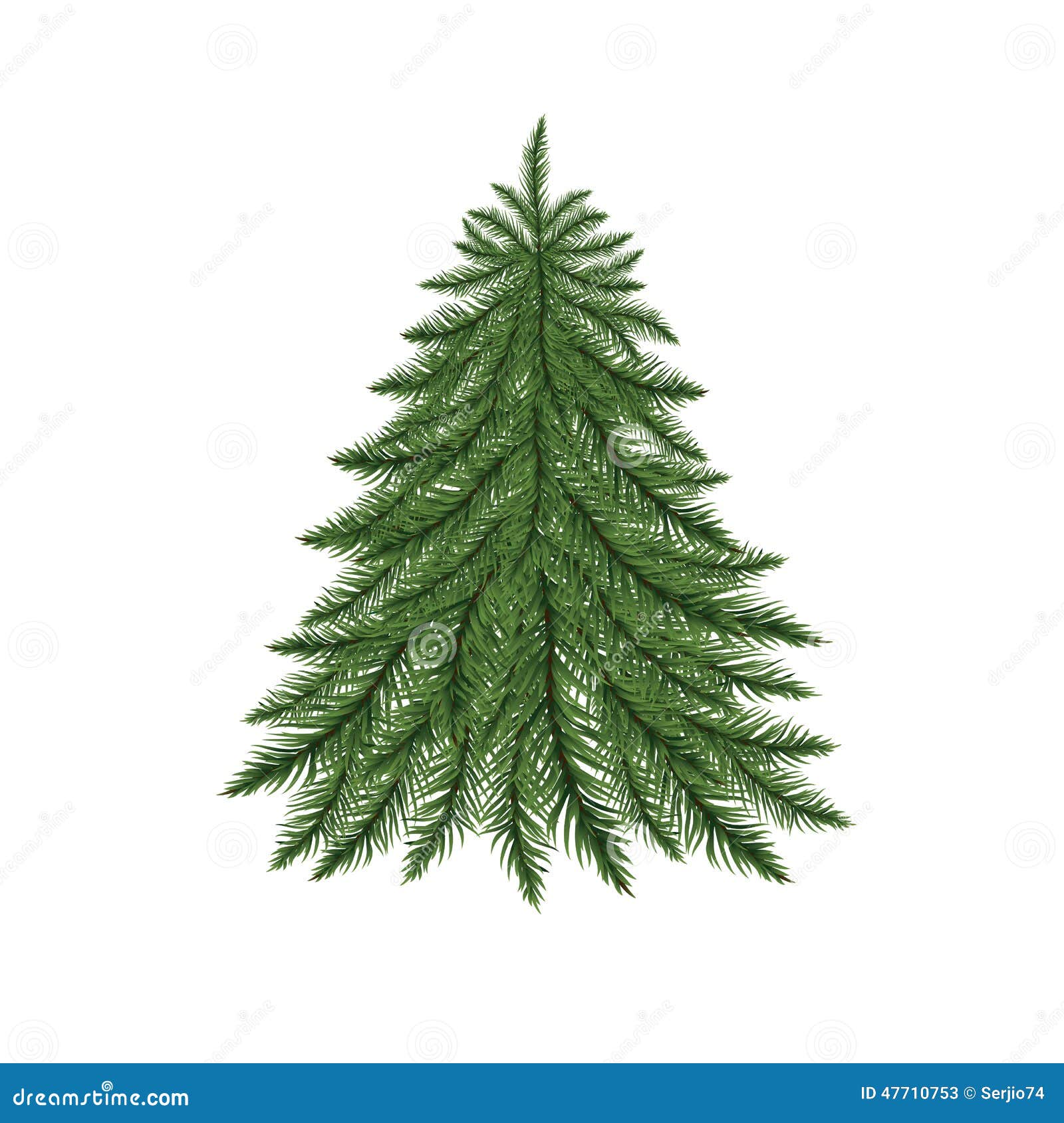 Fir Tree Isolated on White. Stock Vector - Illustration of nature, twig ...
