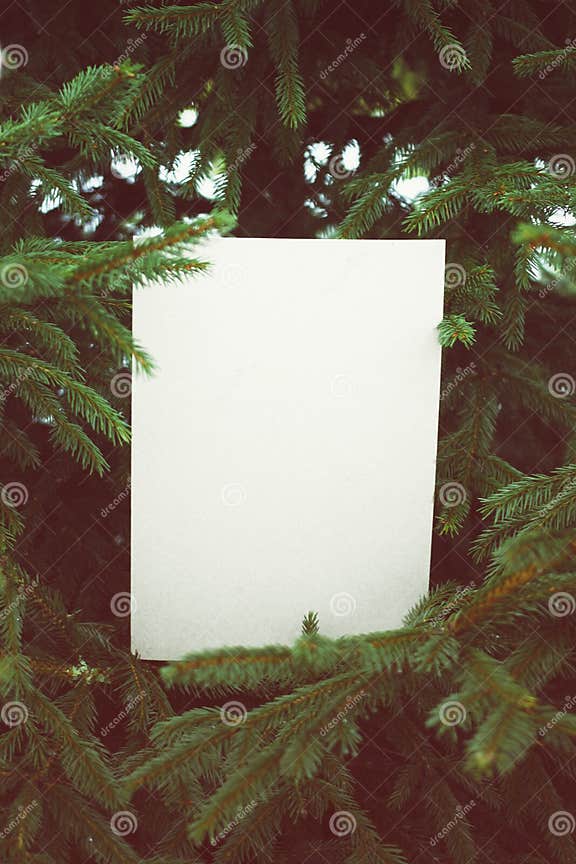 Fir-tree with paper card stock image. Image of green - 81011867