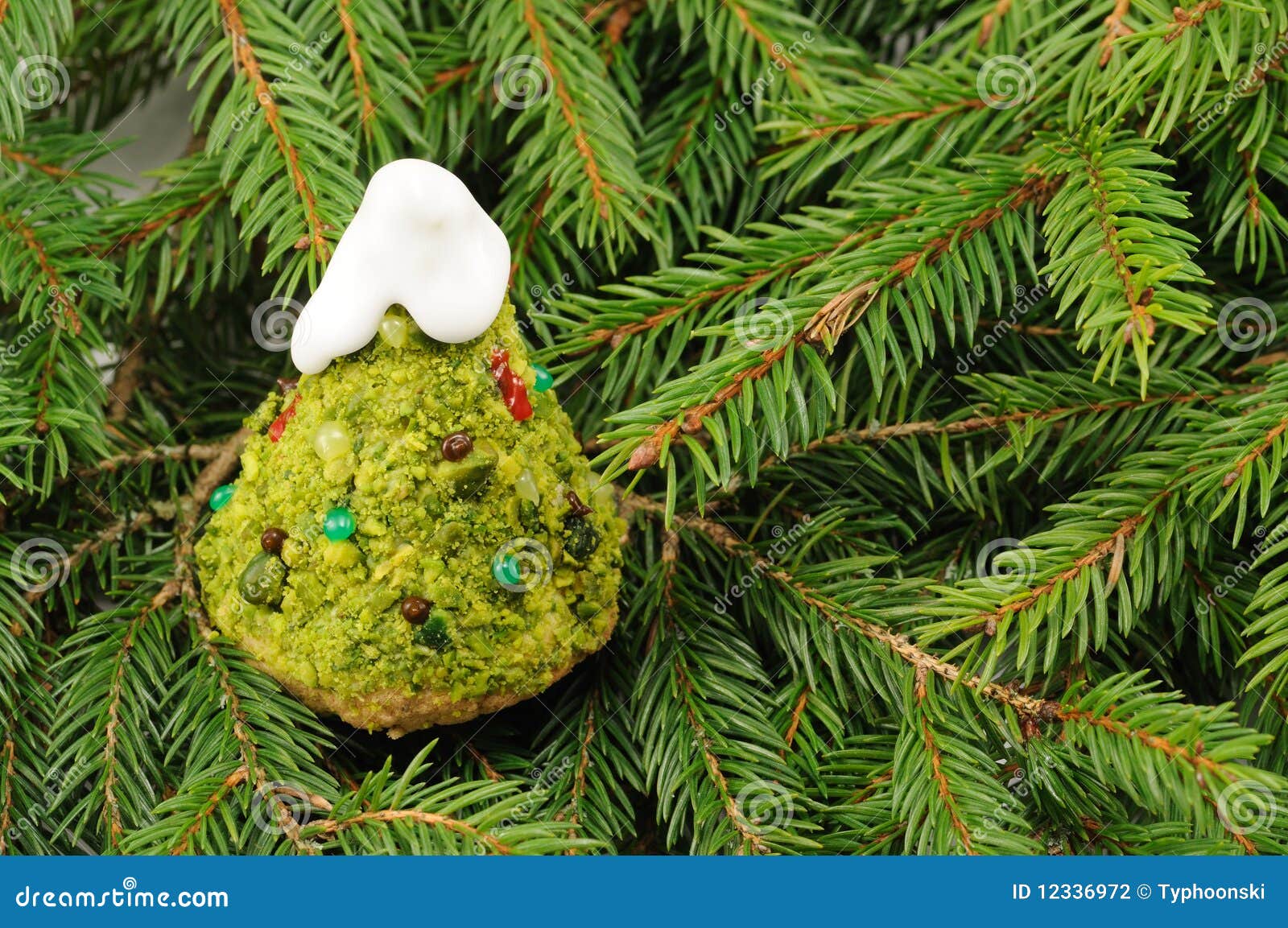 Fir Tree Shaped Cake stock photo. Image of snow, delicious - 12336972
