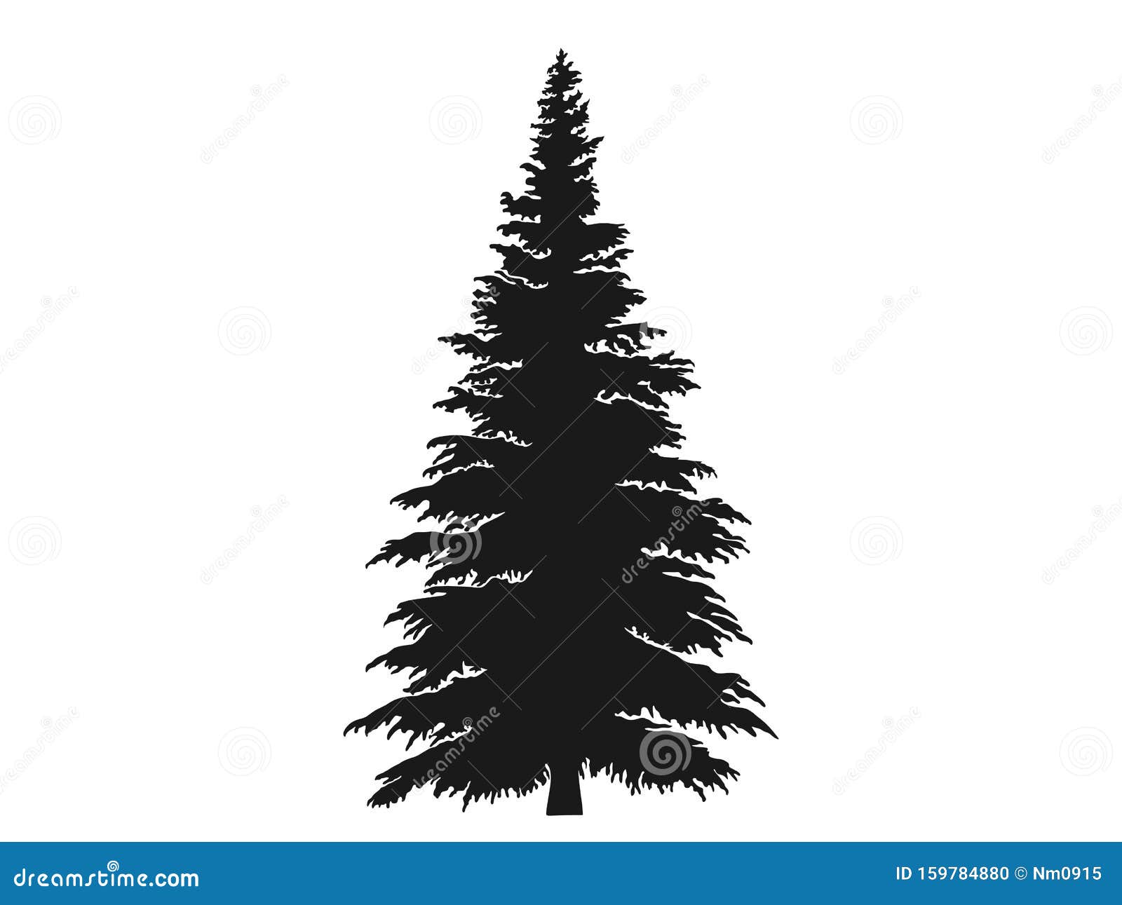 Fir Silhouette