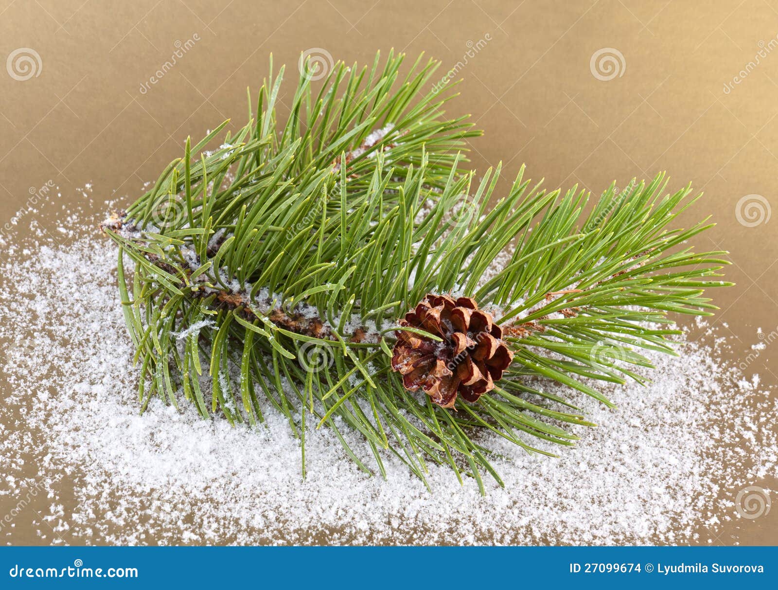 Fir-tree twig stock photo. Image of object, pine, artificial - 27099674
