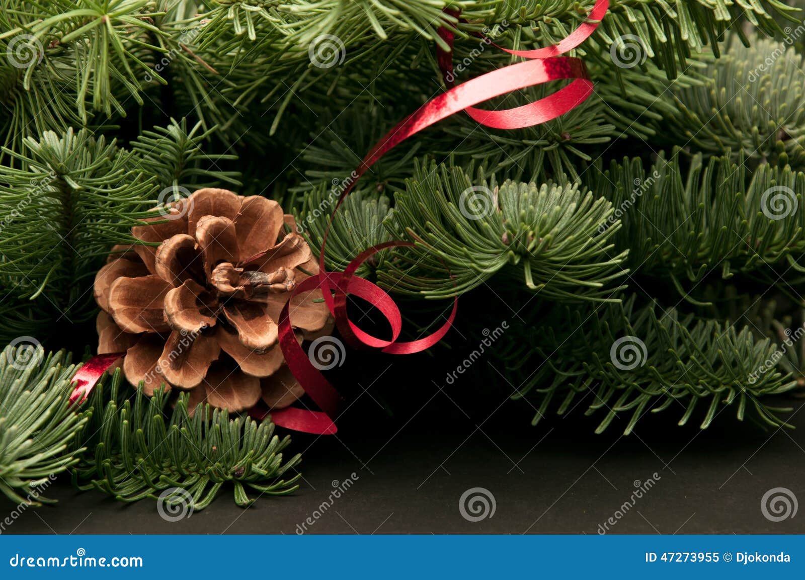 Fir-tree Twigs with Cones and a Red Ribbon Stock Image - Image of ...