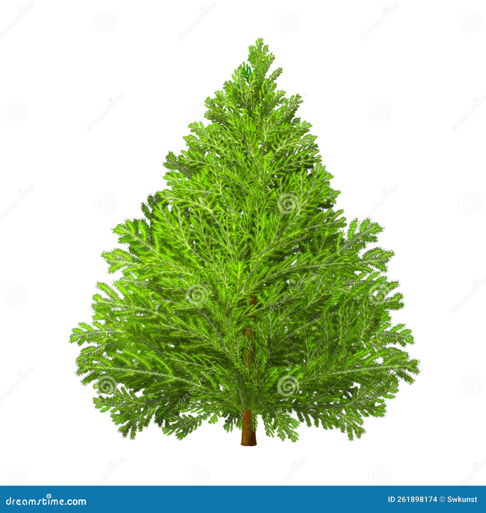 Green Fir Tree Isolated on White Background. Stock Photo - Image of ...