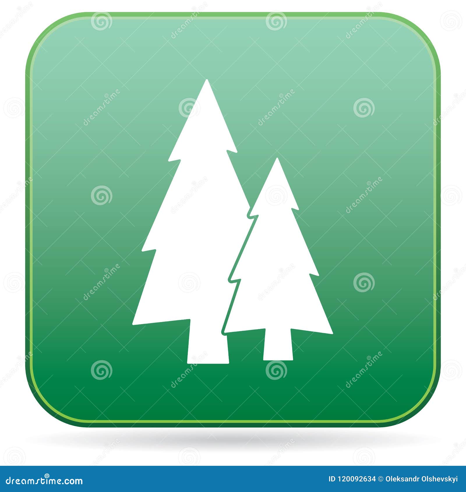 Fir Trees forest stock vector. Illustration of outdoor - 120092634