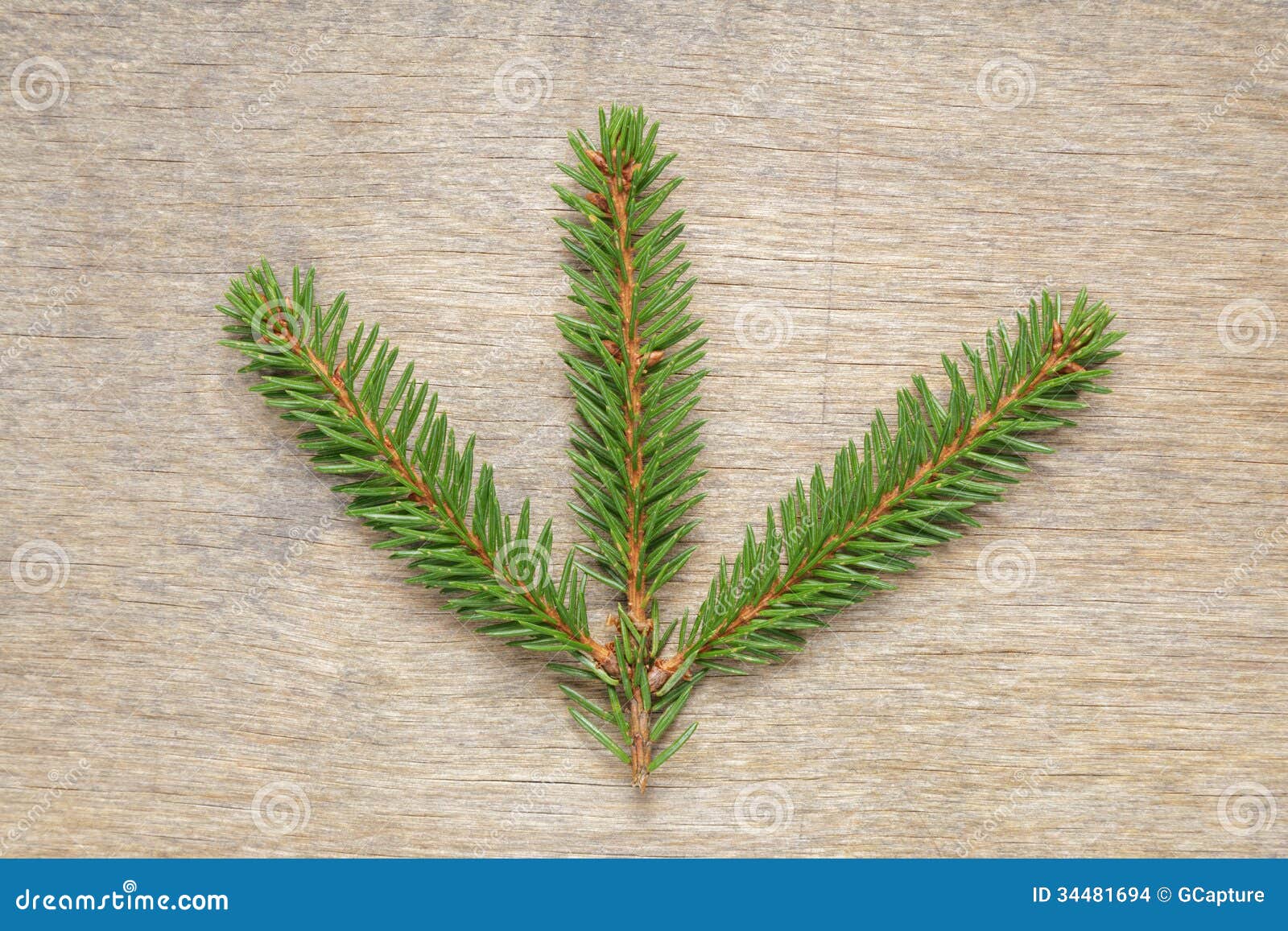 Fir twig on wooden table stock photo. Image of greeting - 34481694