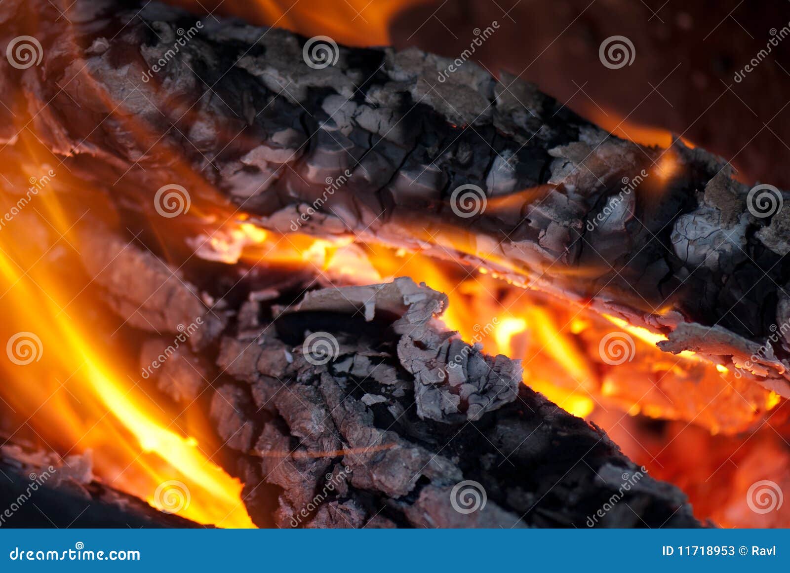 Fire stock image. Image of cinder, fire, flame, campfire - 11718953