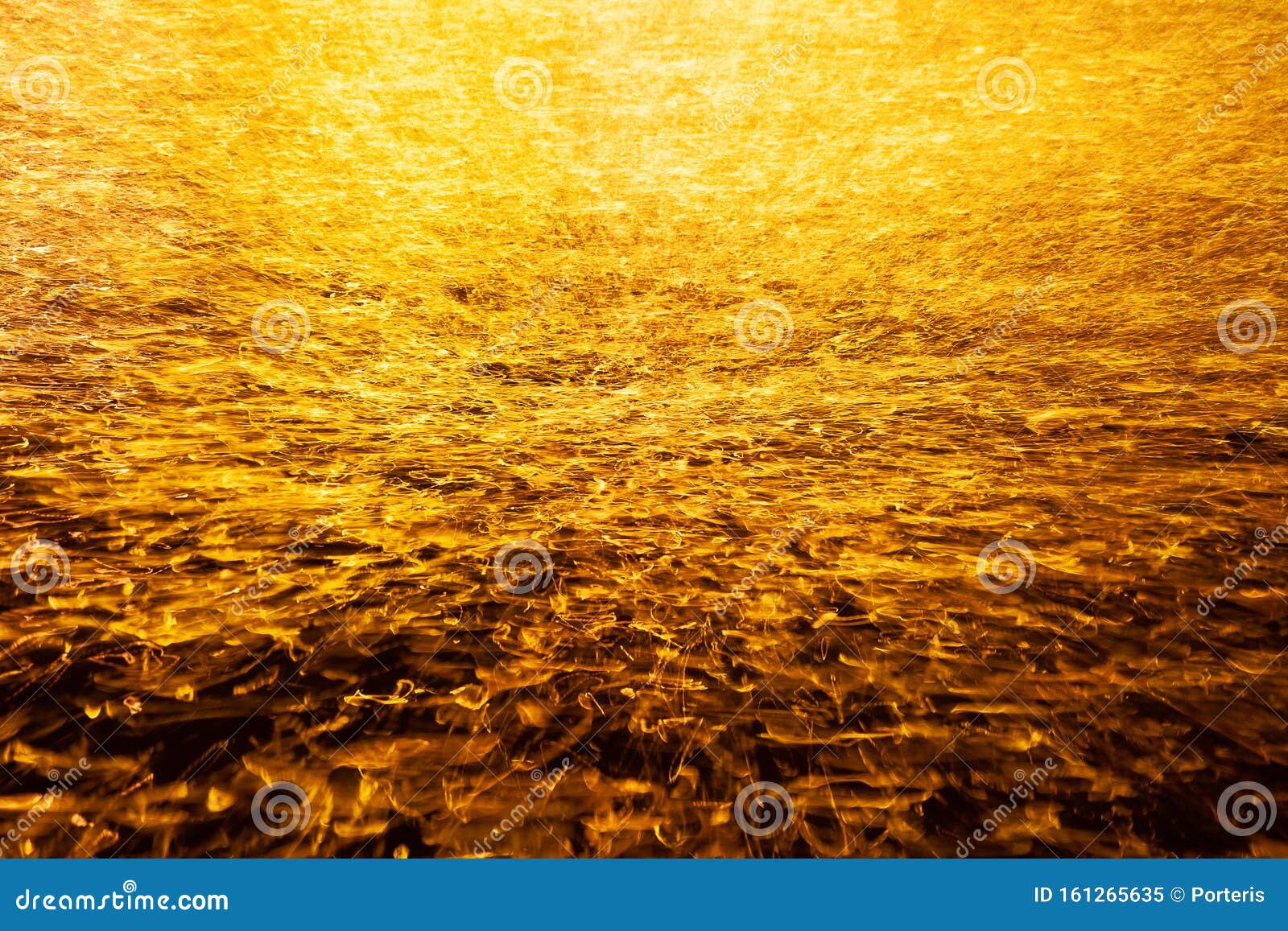 Fire Spreading in Different Directions in the Wind Stock Image - Image ...