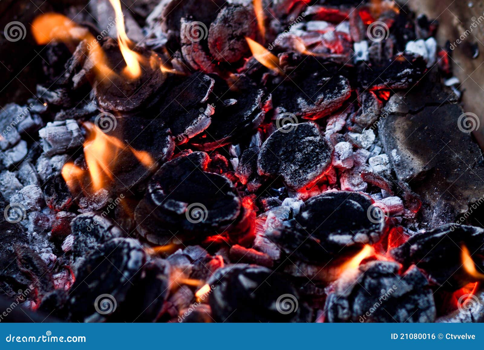 Fire stock photo. Image of grill, yellow, burning, coal - 21080016